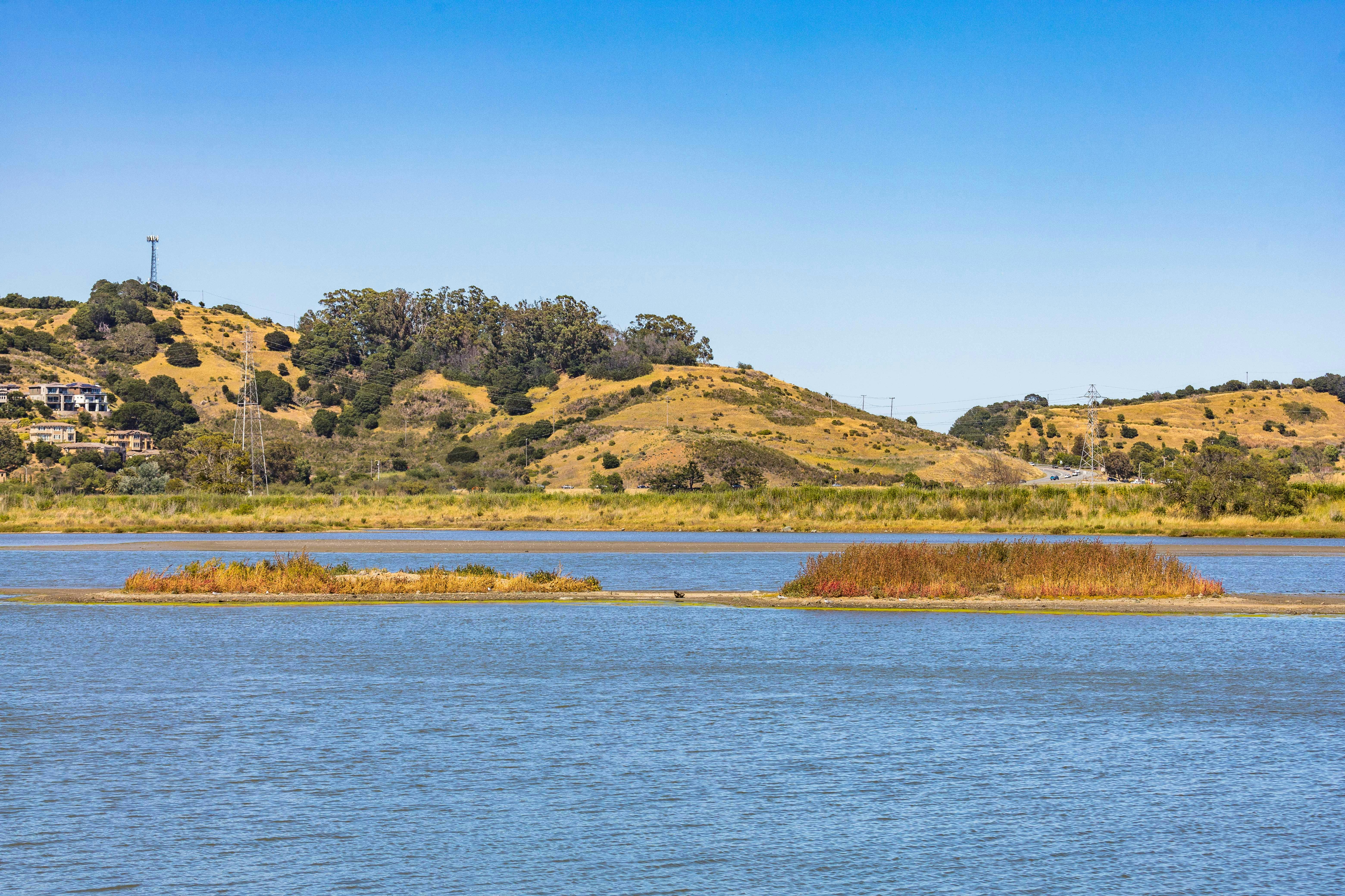 A Body of Water Between Grassland · Free Stock Photo