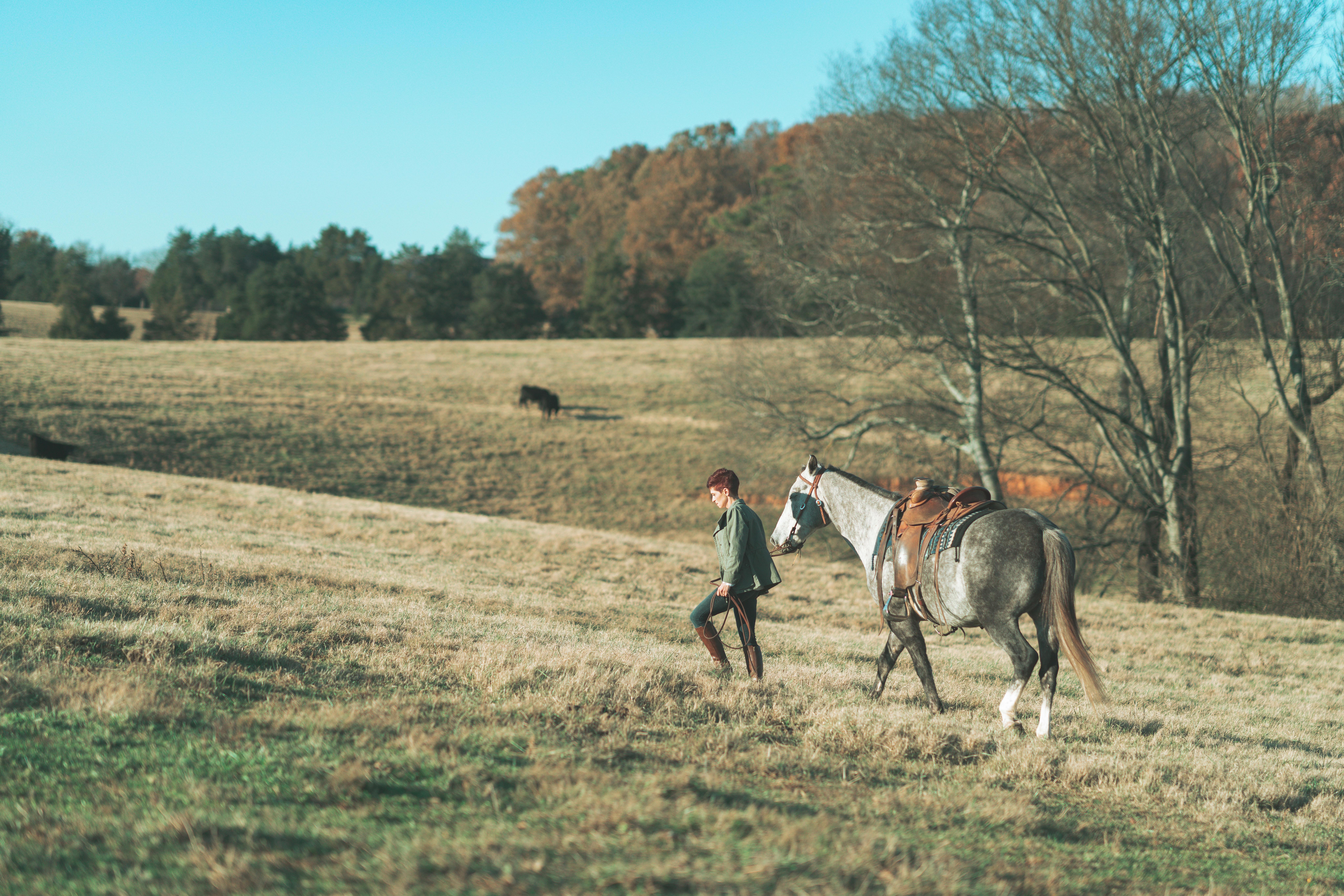 Scenic View of Agricultural Field Against Sky · Free Stock Photo