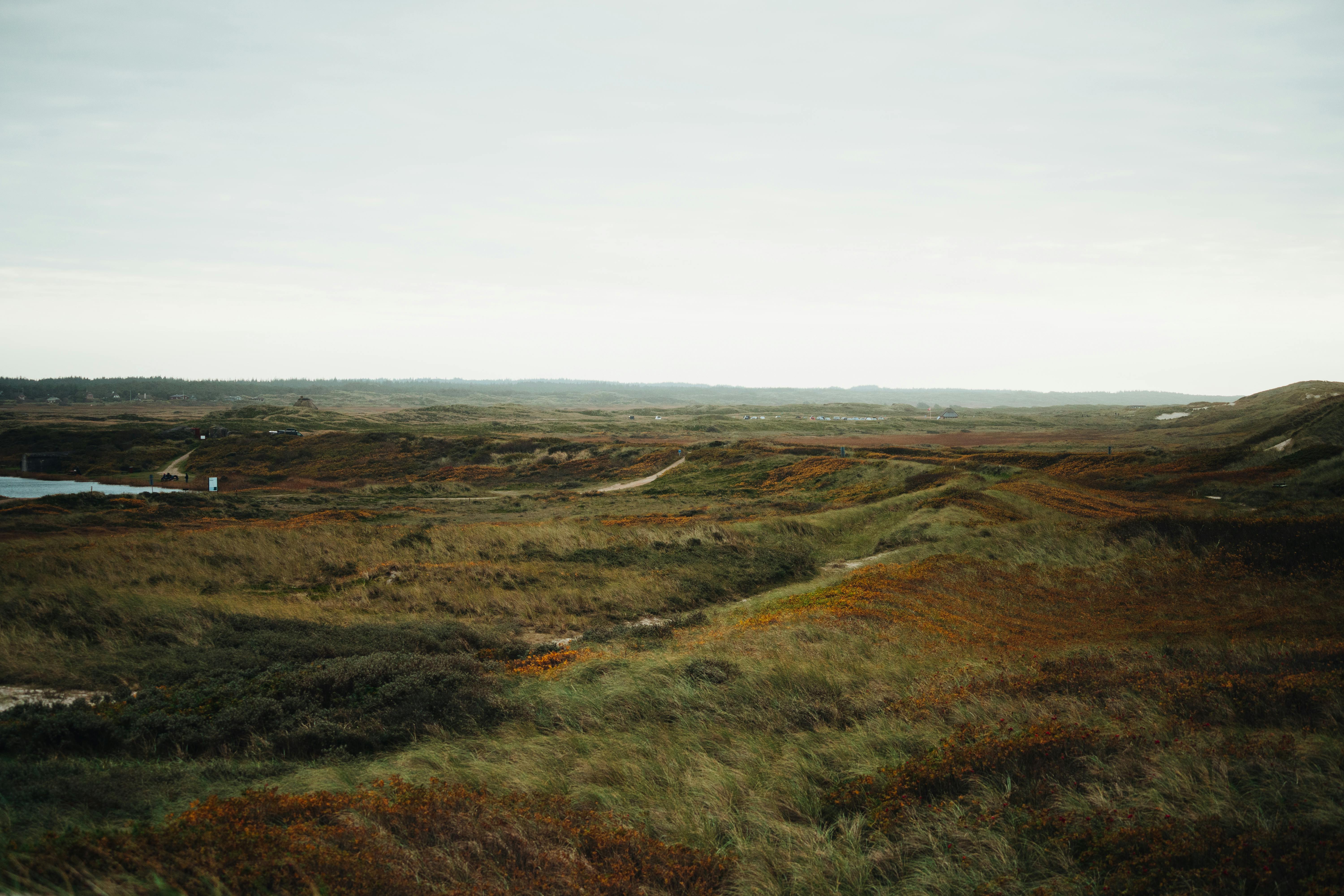 Overcast over Field and Grassland · Free Stock Photo