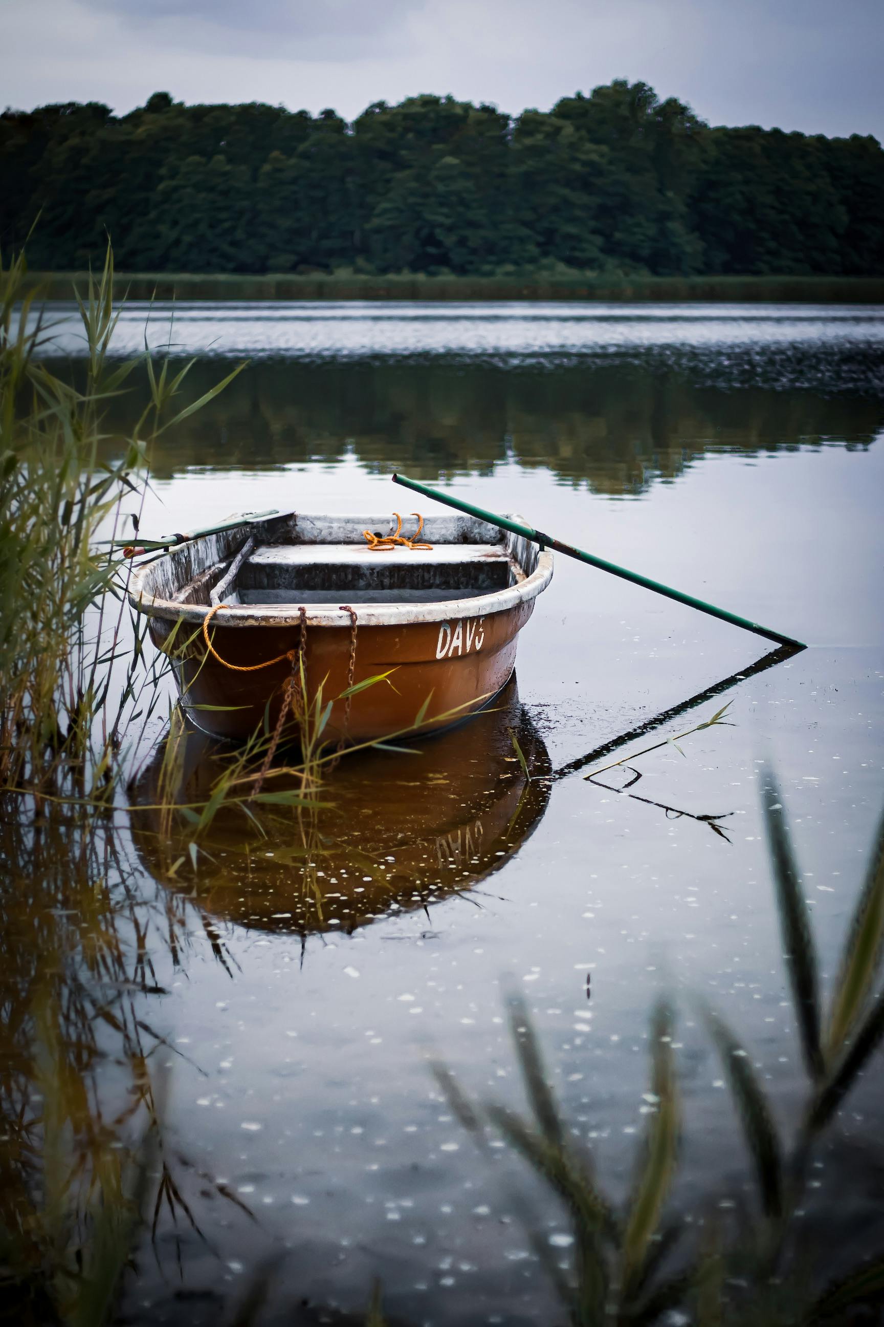 Photo of Rowboat on Lake · Free Stock Photo