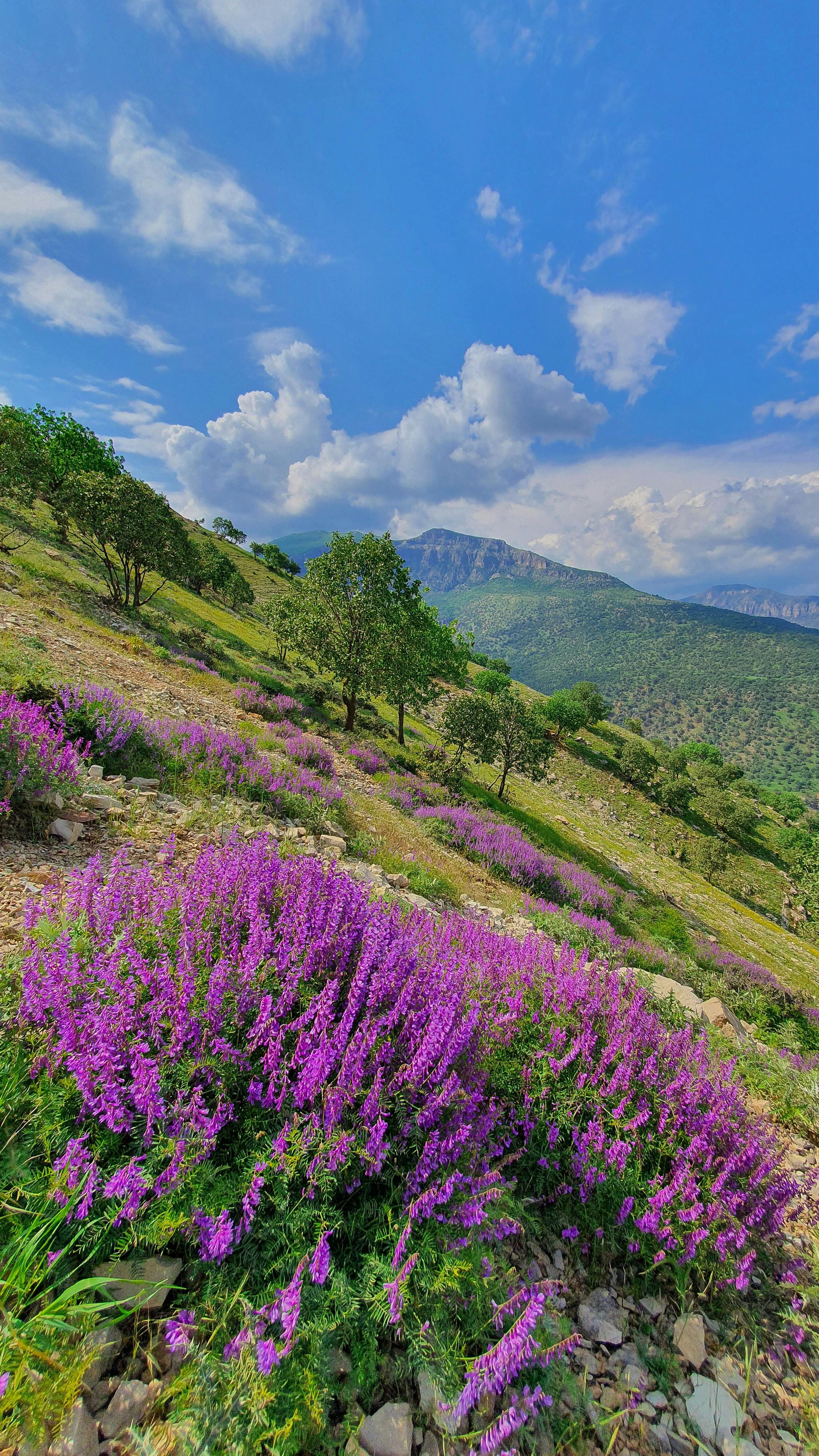 Mountains In Springtime Photos, Download The BEST Free Mountains In ...