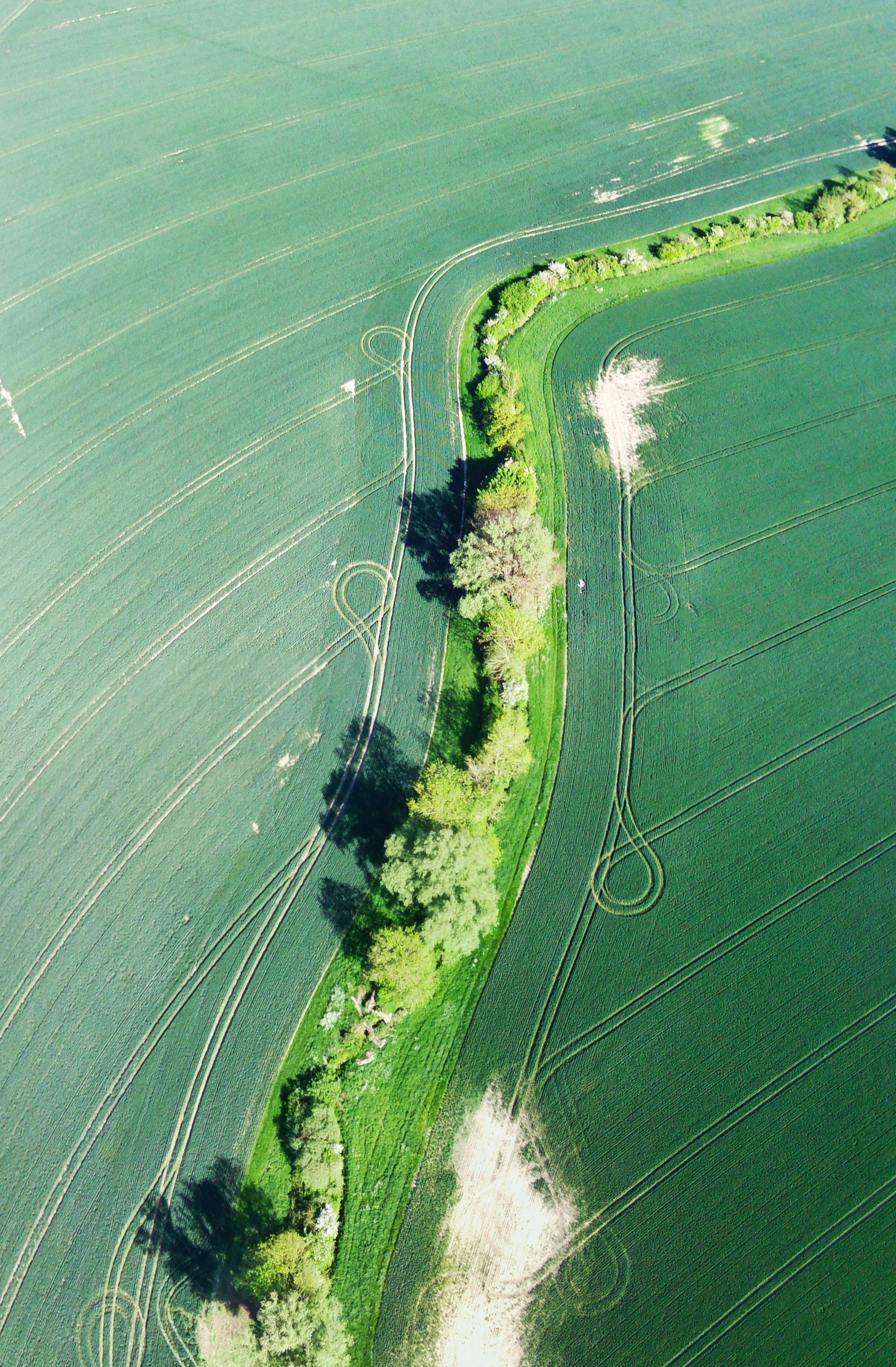 Aerial View of Fields · Free Stock Photo