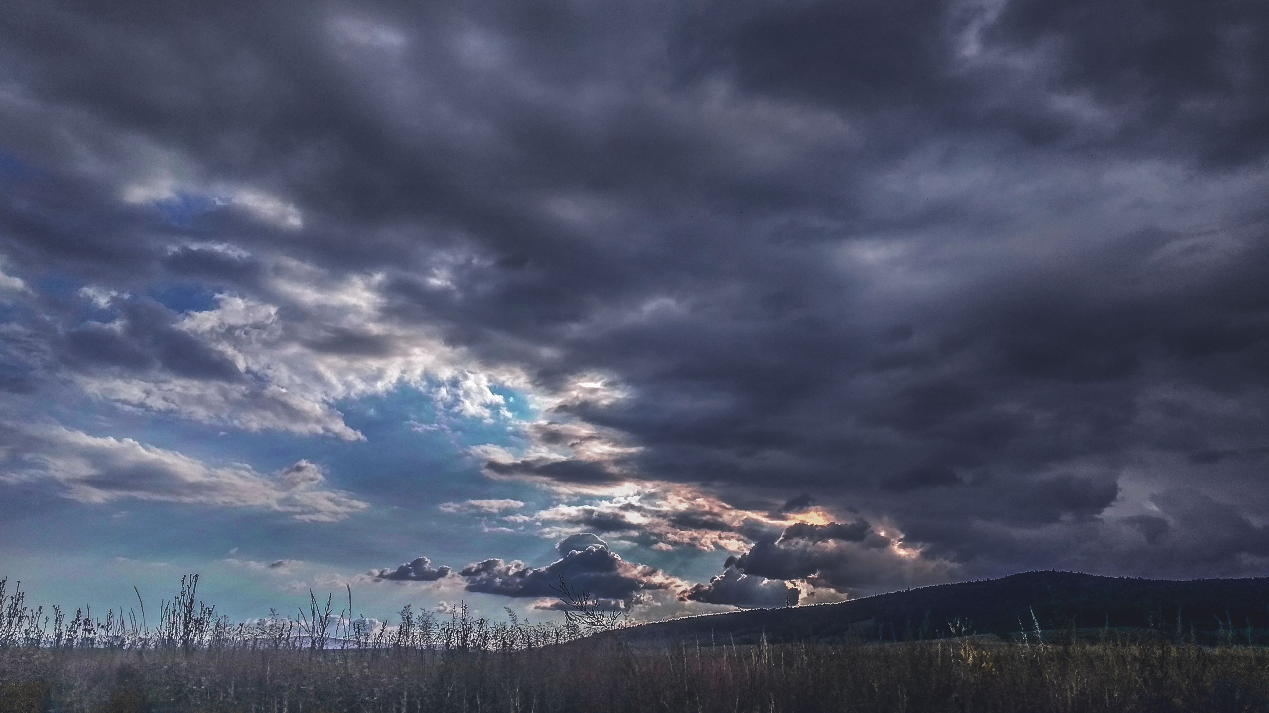 Free stock photo of cirrus clouds, clouds, forest
