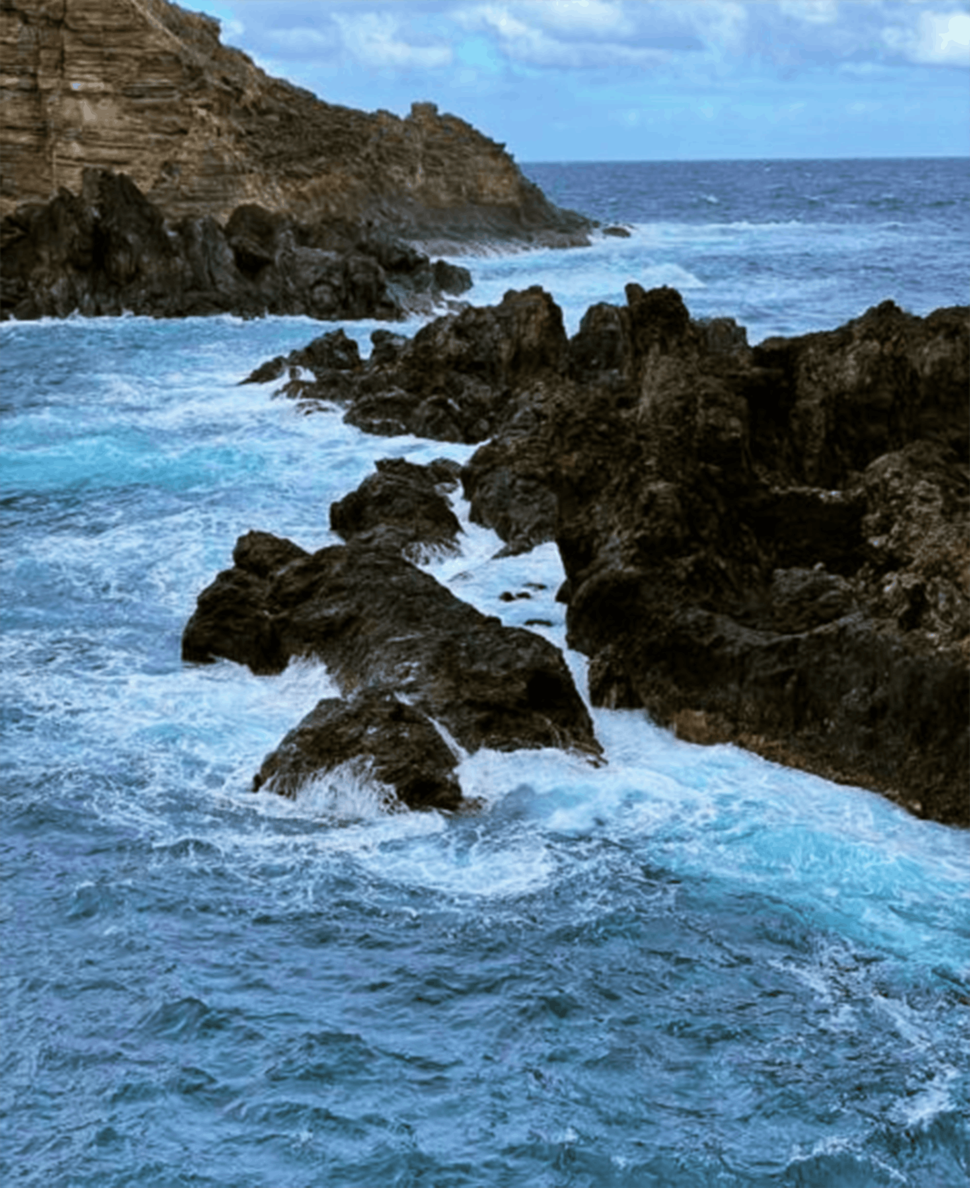 Medina Rrokja - 사진