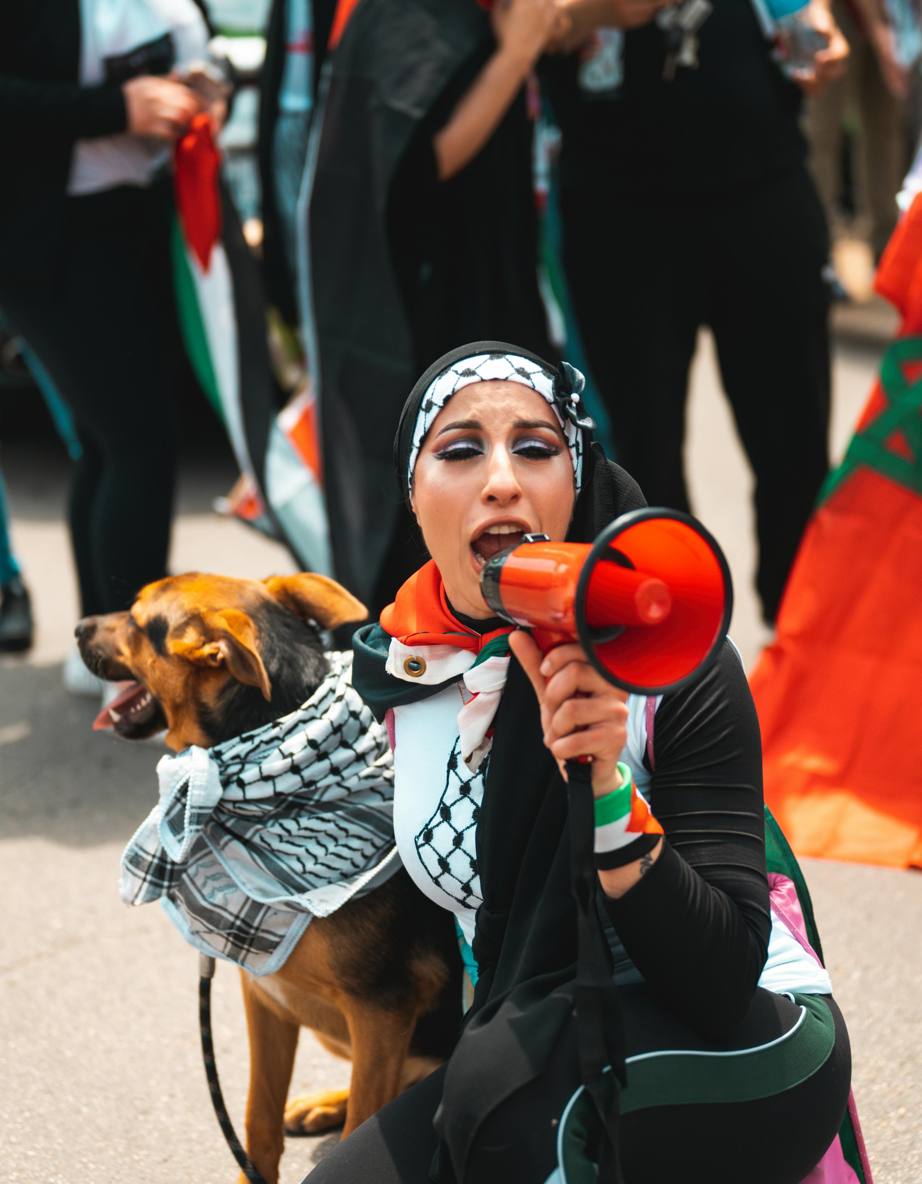 Manifestation Photos, Download The BEST Free Manifestation Stock Photos ...