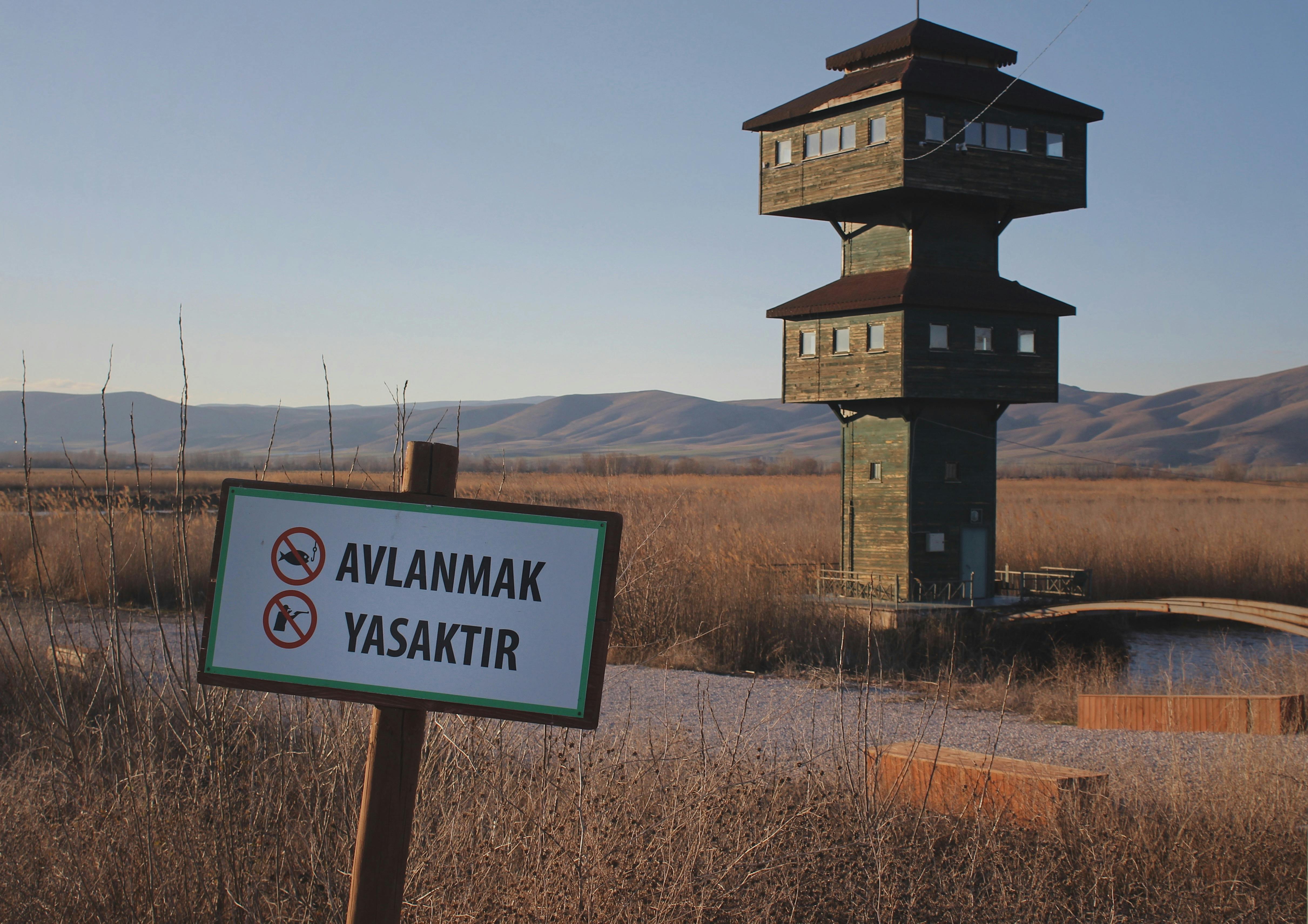 Watchtower Photos, Download The BEST Free Watchtower Stock Photos & HD ...