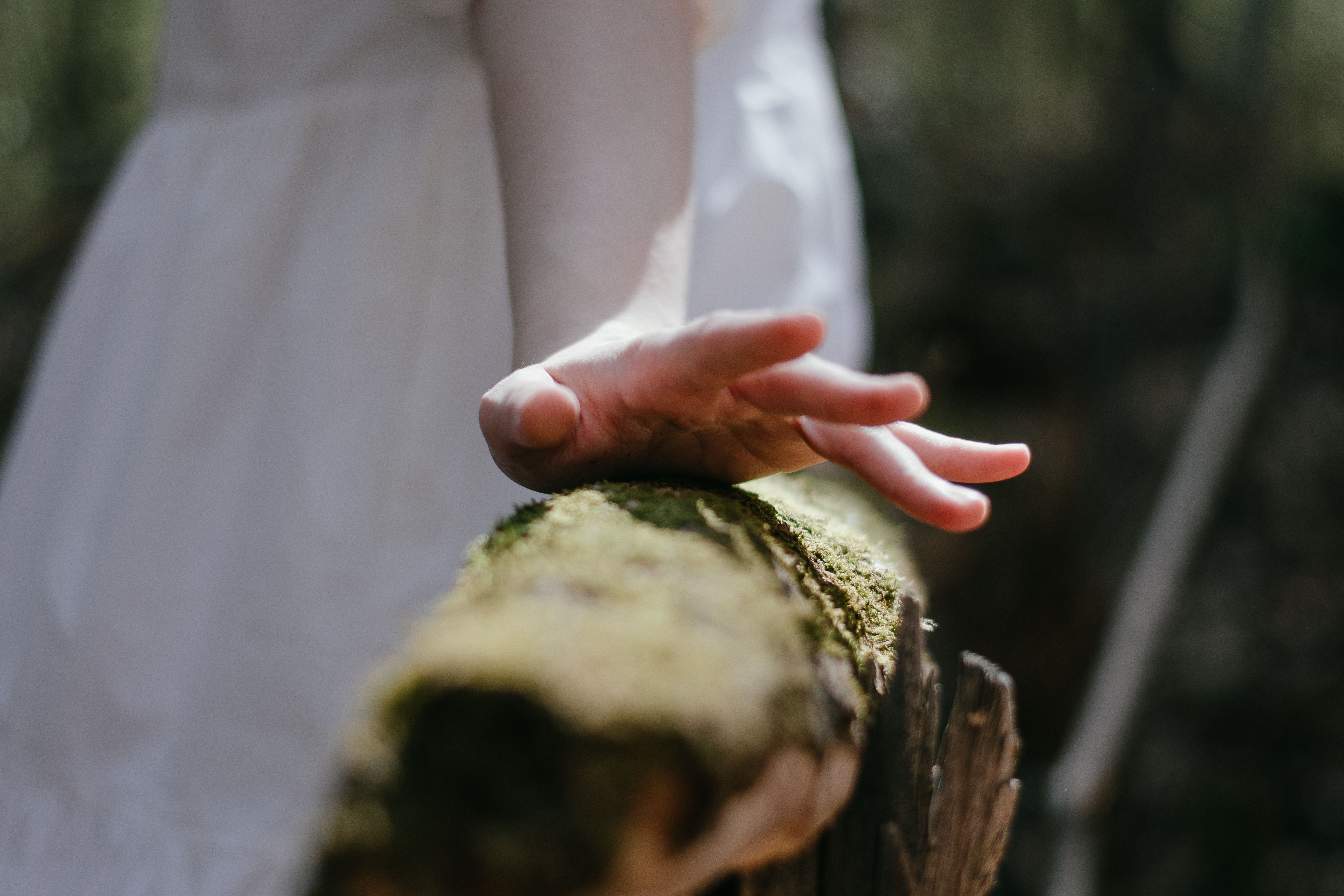 Close-up Photo of Hand on a Tree · Free Stock Photo