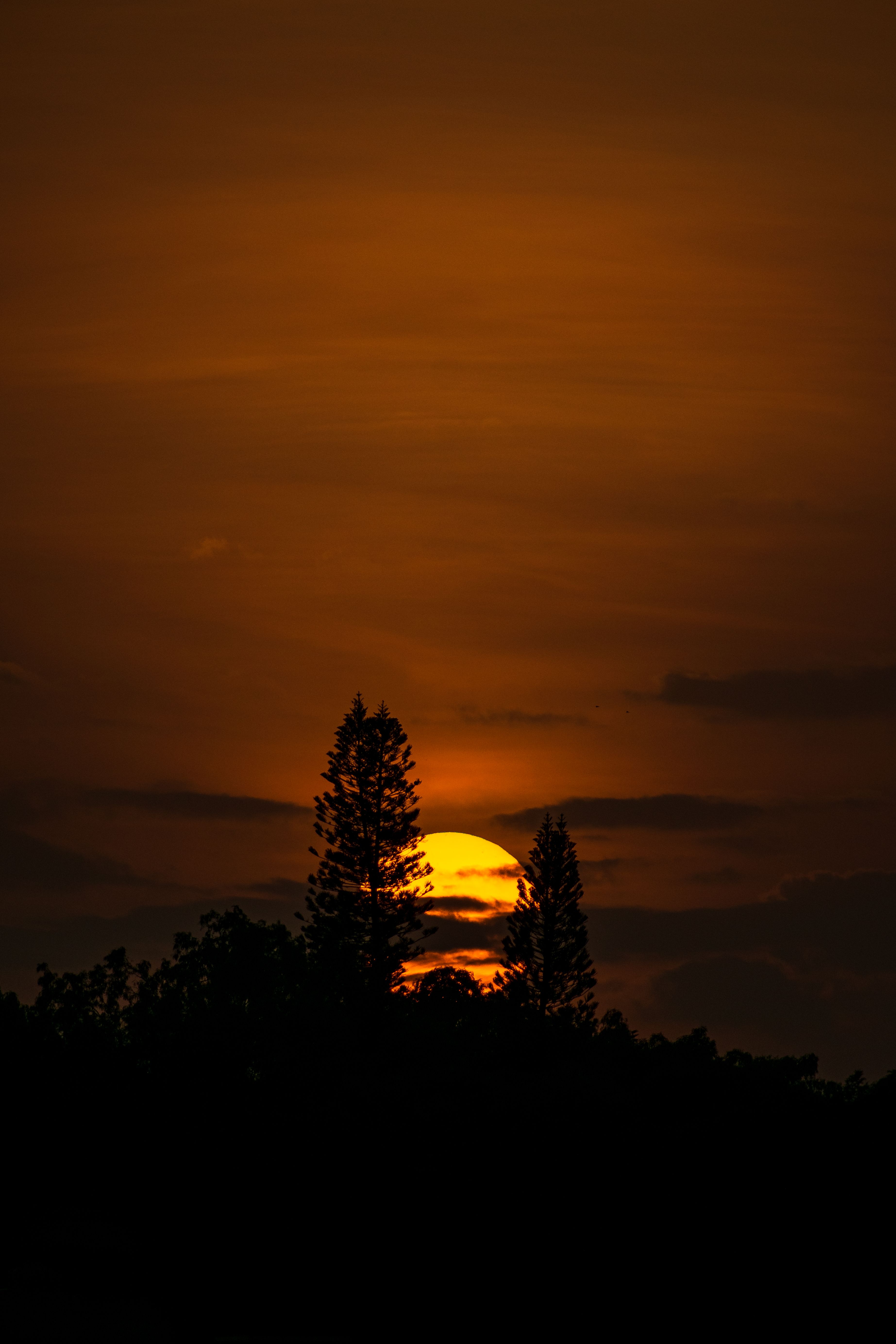 Photo of Sun Setting · Free Stock Photo