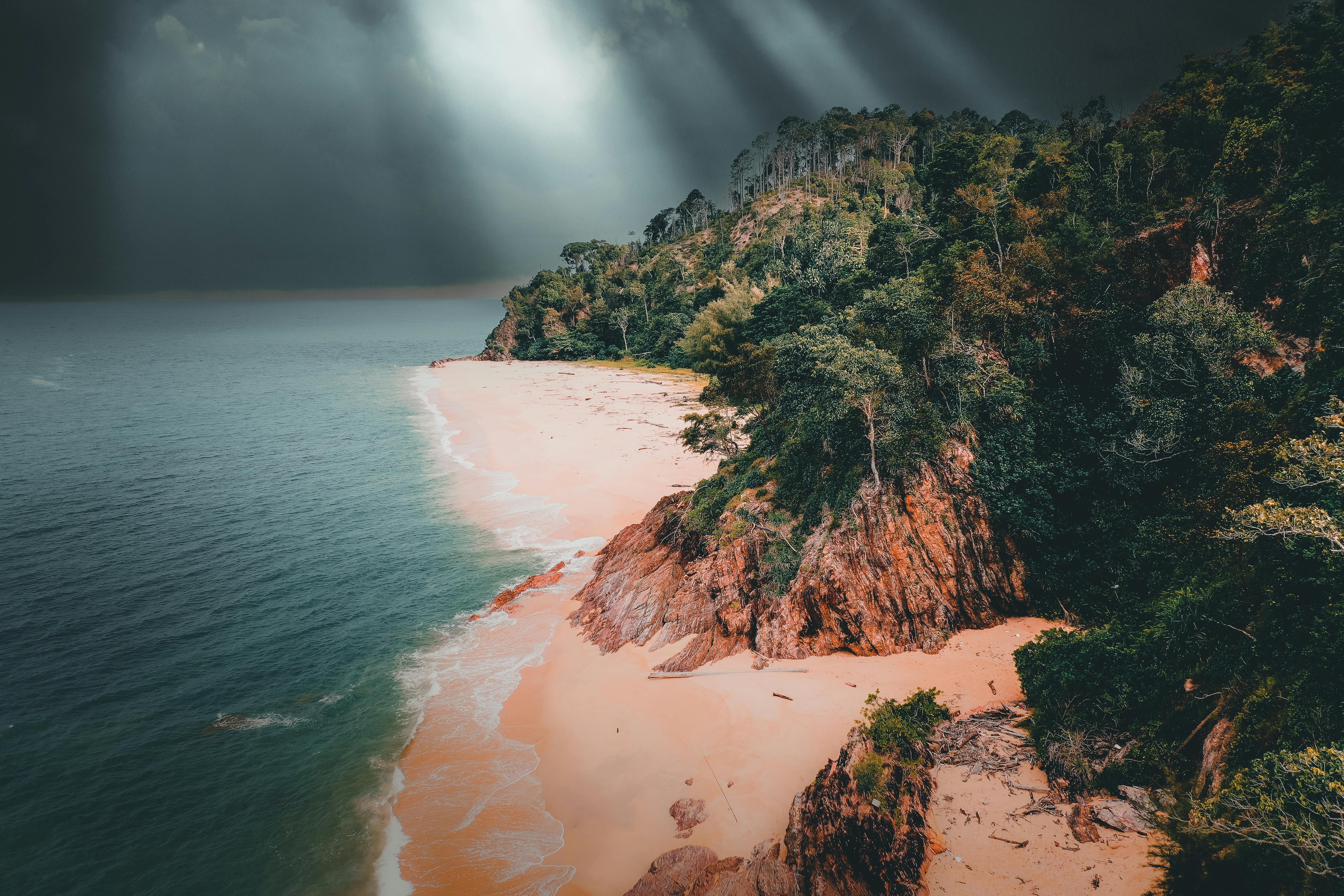 Sea and Beach with Forest on the Cliff on a Stormy Day · Free Stock Photo
