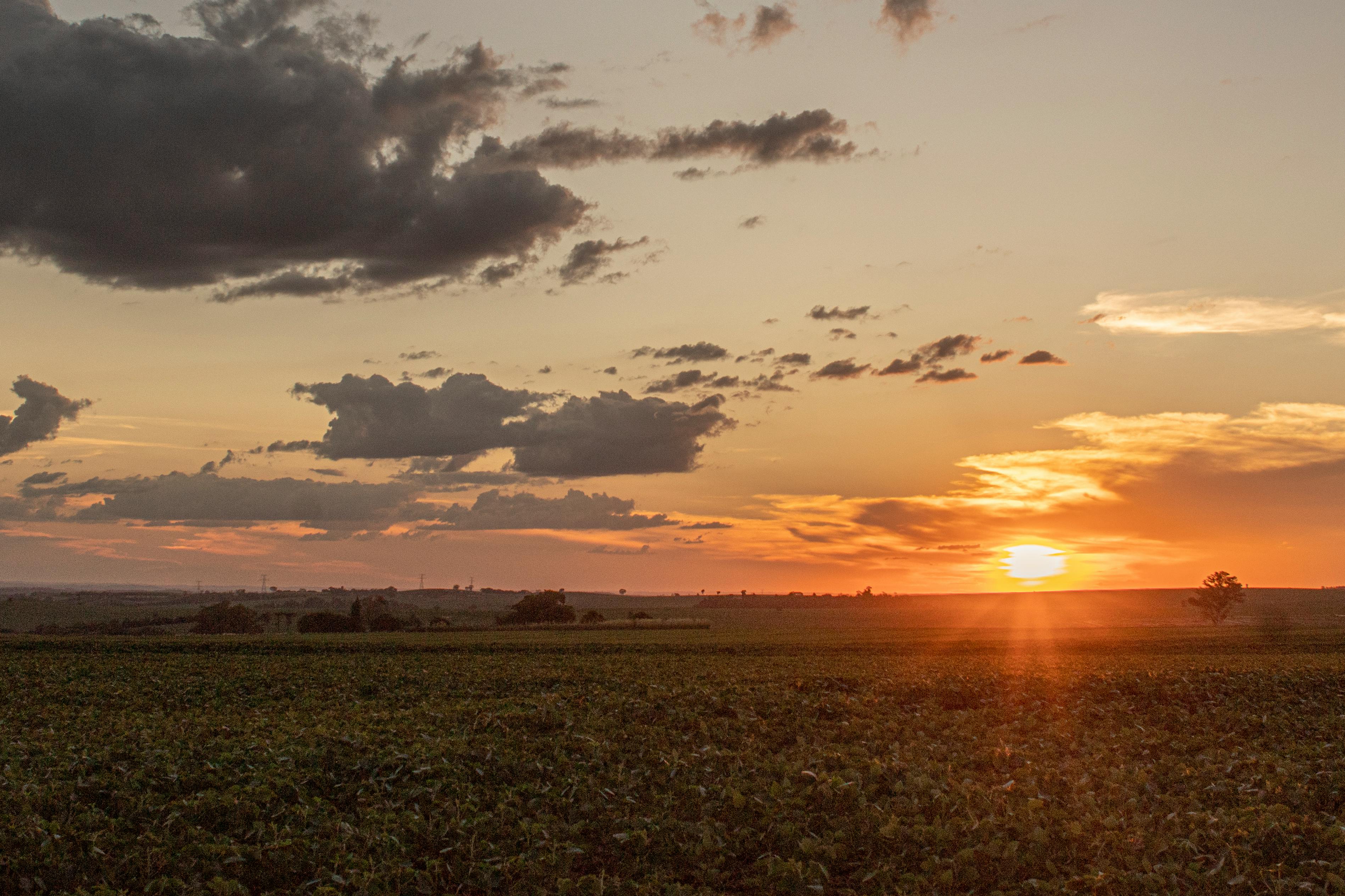 Natureza & Paisagens 8 Photos & Videos Collected by Nany Casteleira
