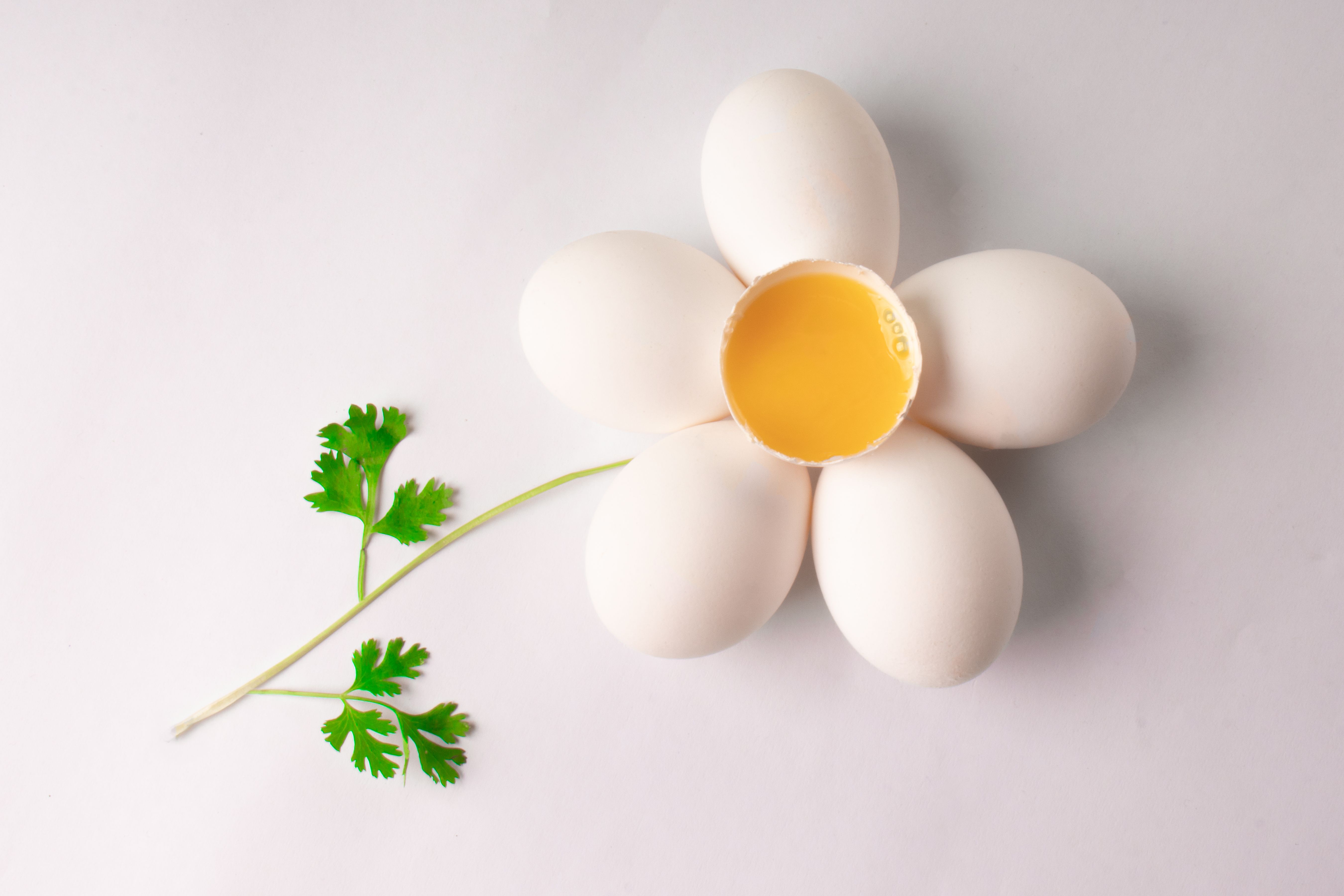 Close-up Photo of Eggs · Free Stock Photo