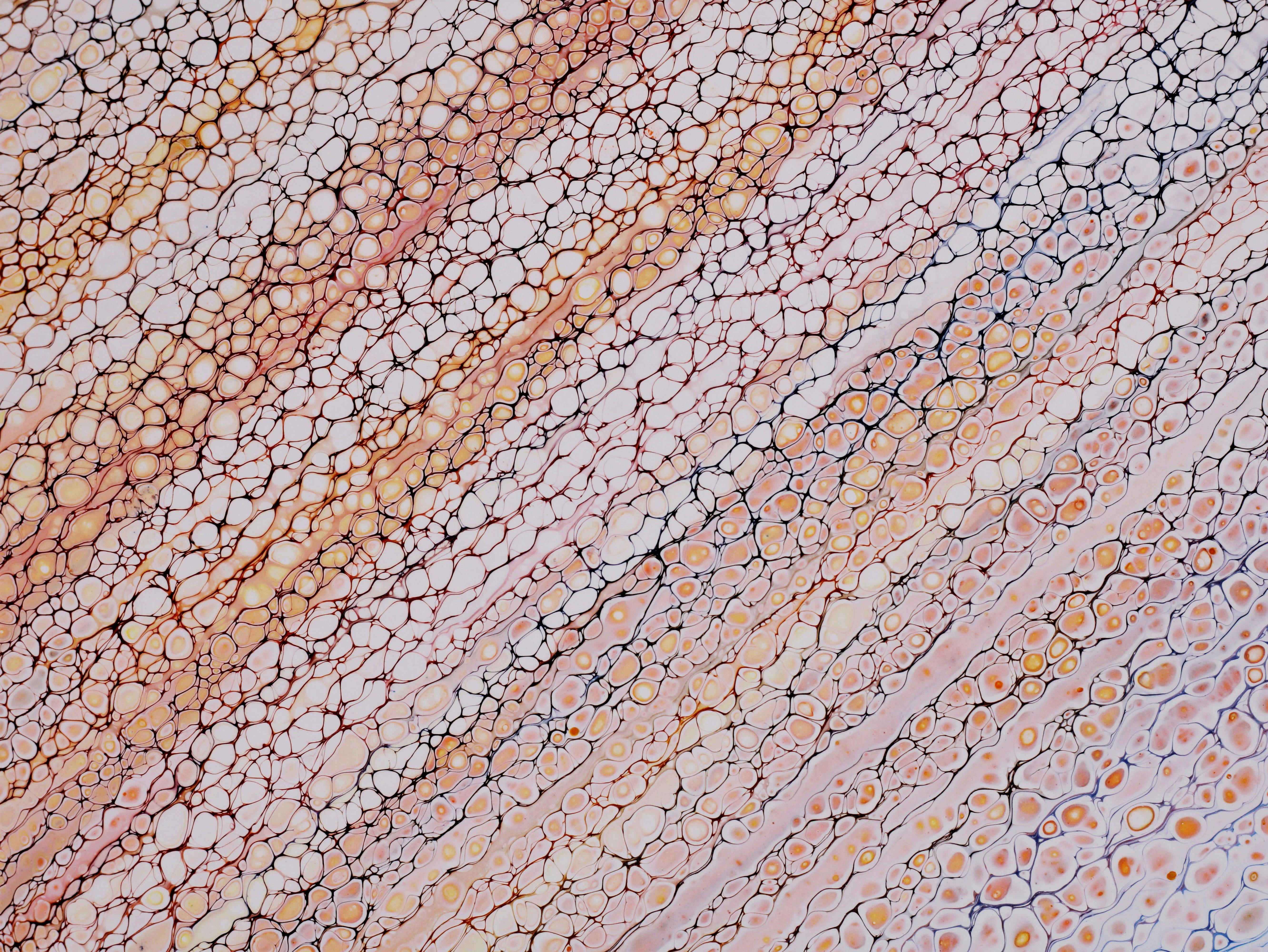 Splay Painting Photos, Download Free Splay Painting Stock Photos & HD ...