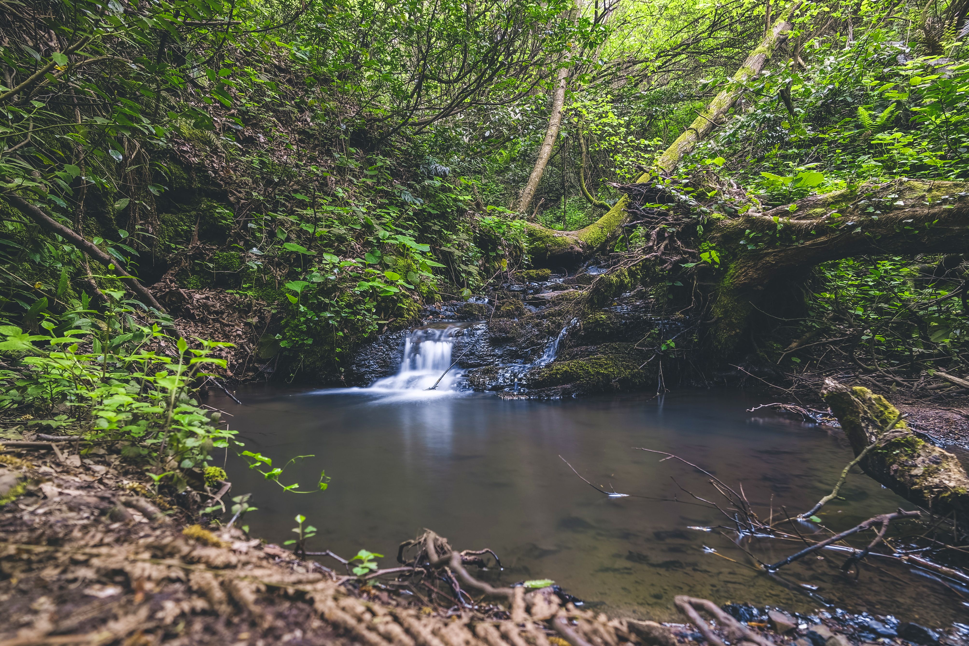 Photo of Waterfall · Free Stock Photo