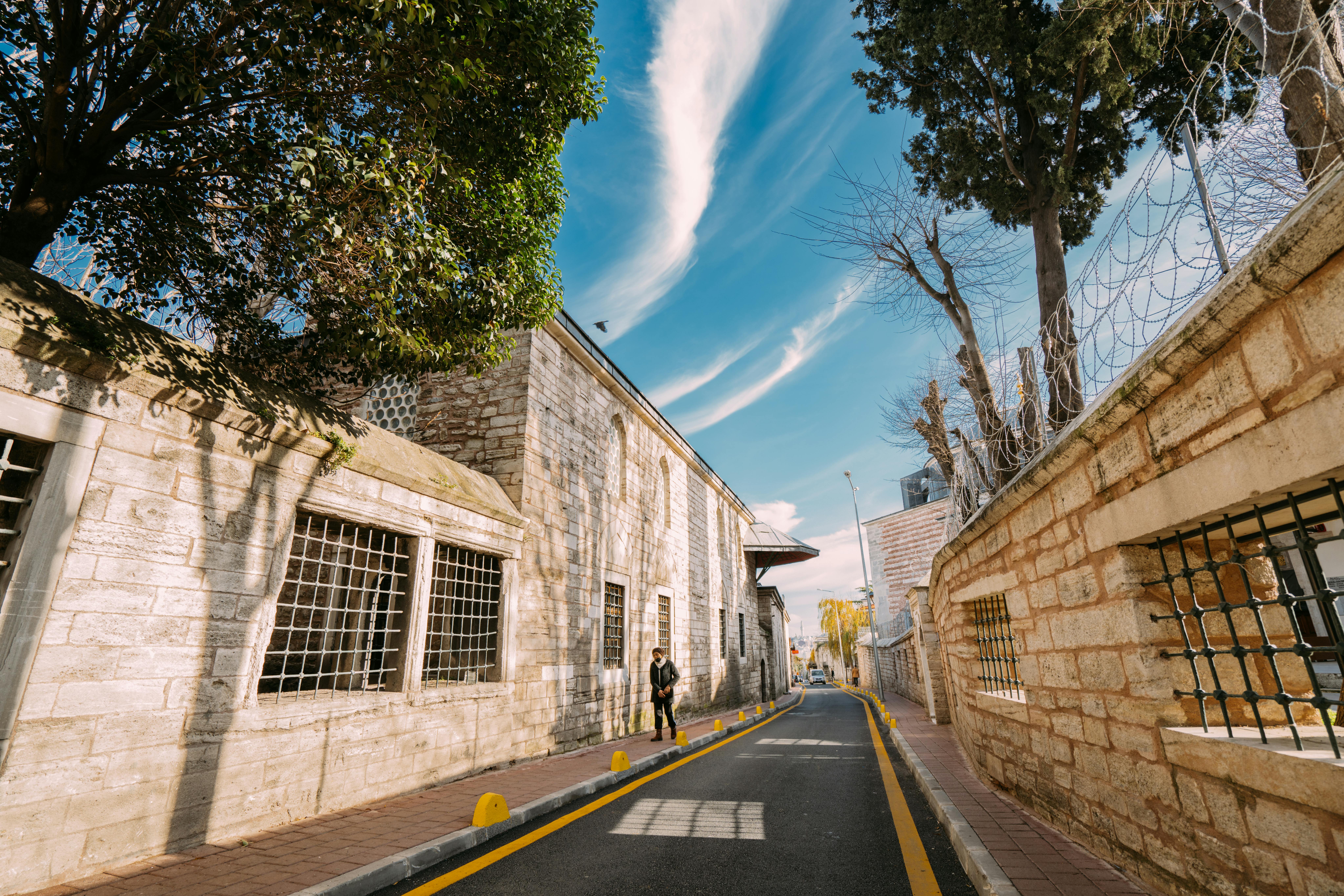 Photo of City Street in Summer · Free Stock Photo