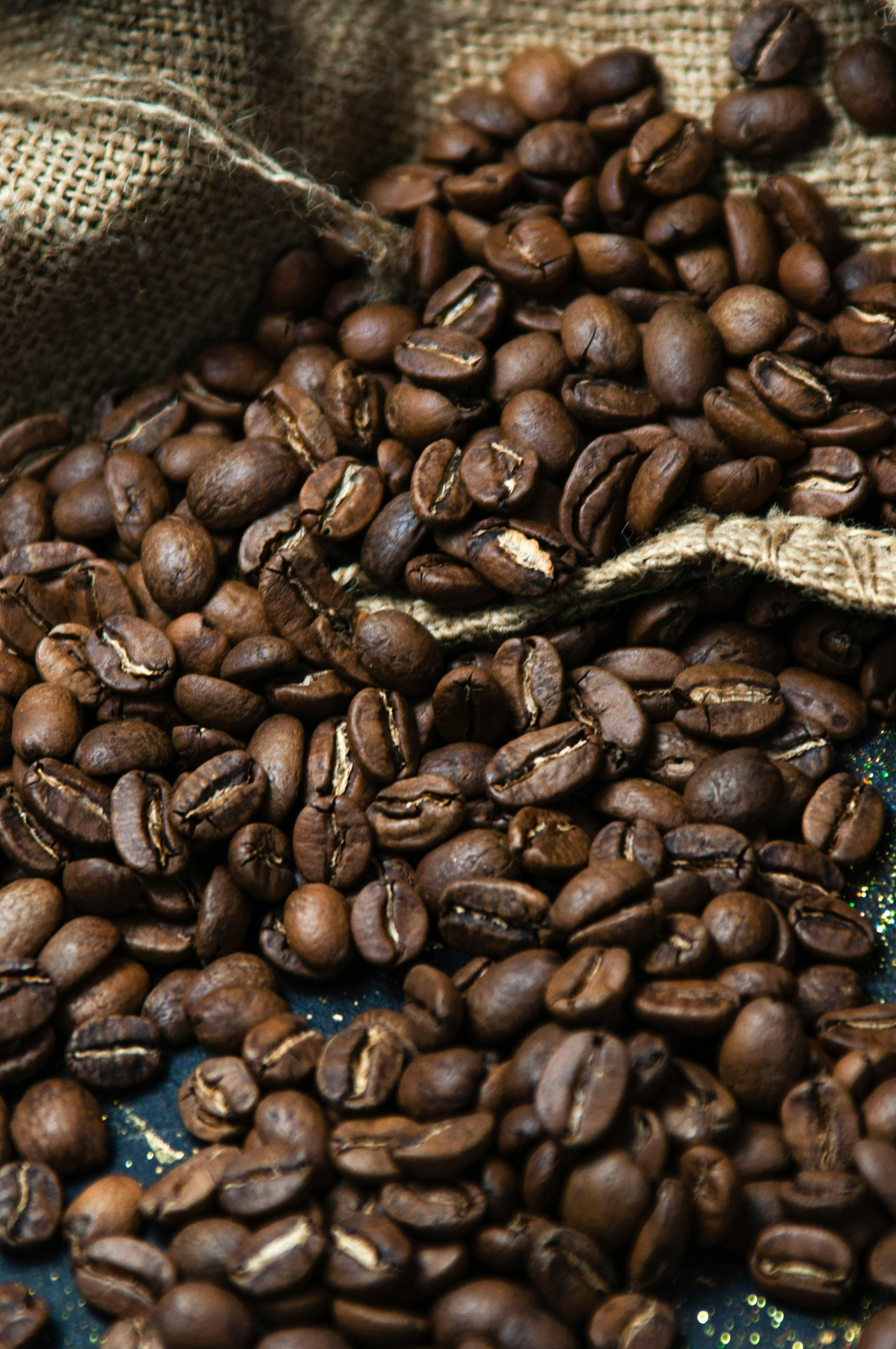 Photo of Coffee Beans on Camera Lens · Free Stock Photo
