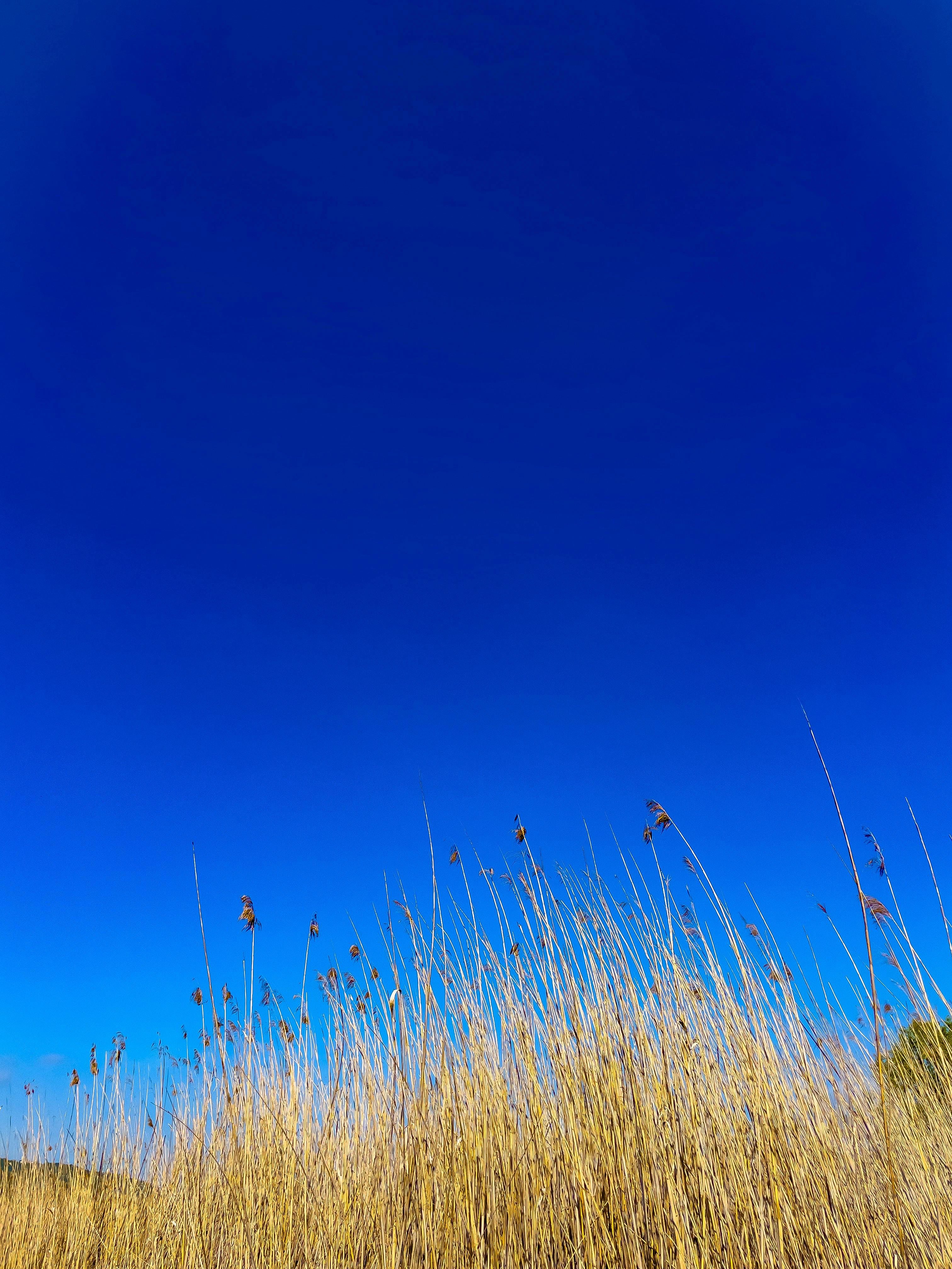 Andrea Carinci - Photography