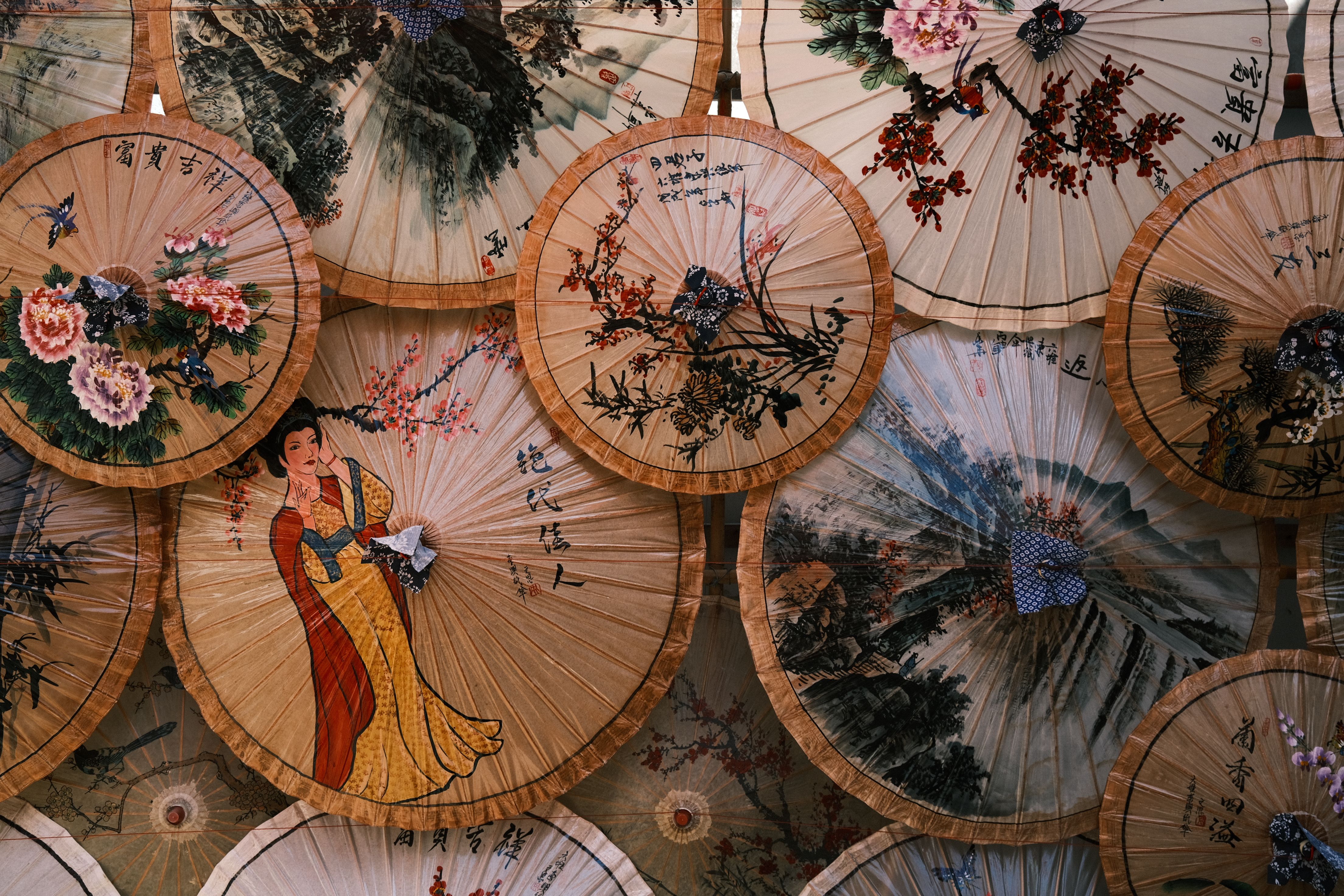 Japanese Paper Parasol Photos, Download The BEST Free Japanese Paper ...