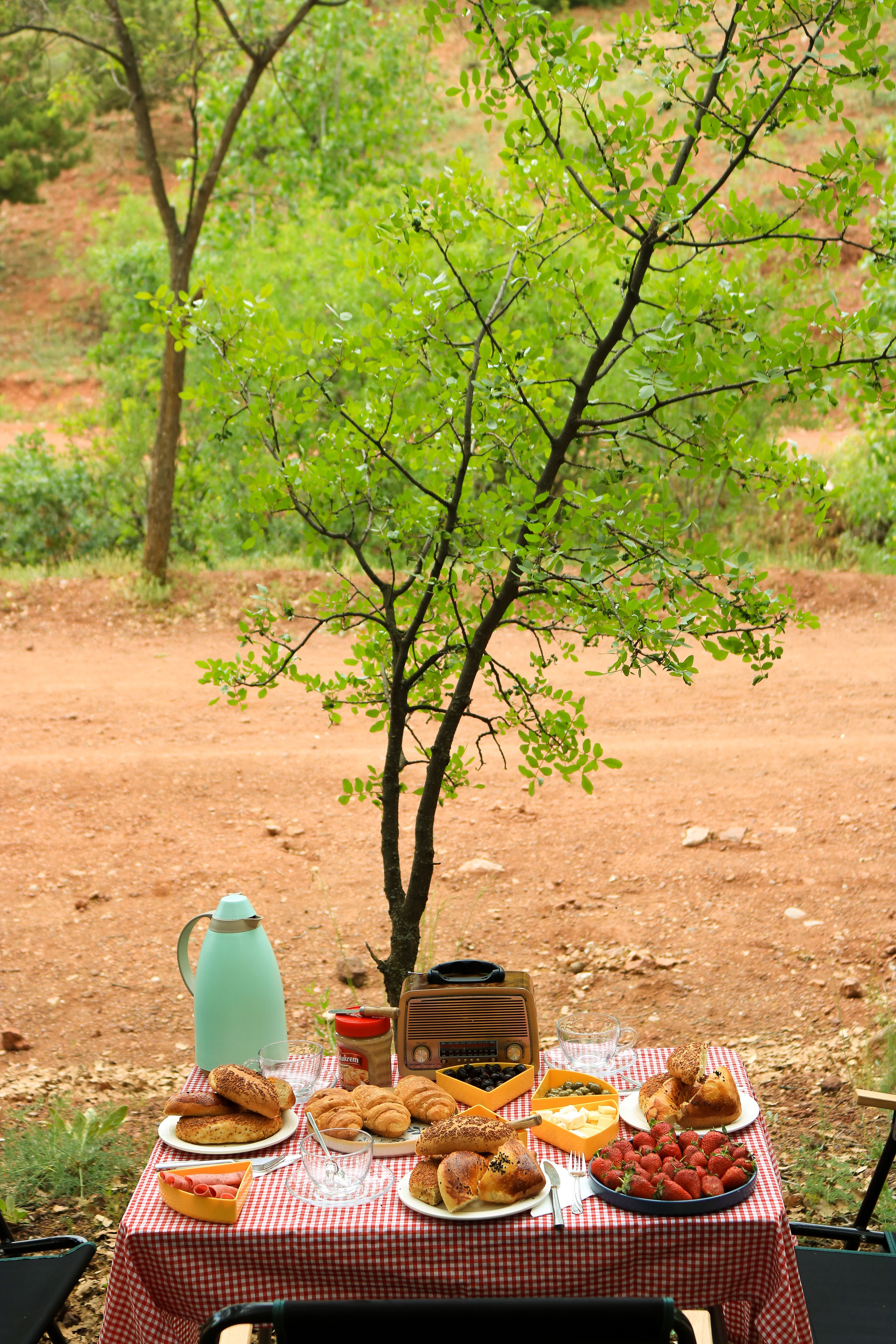 Breads on the Table Beside Green Tree · Free Stock Photo