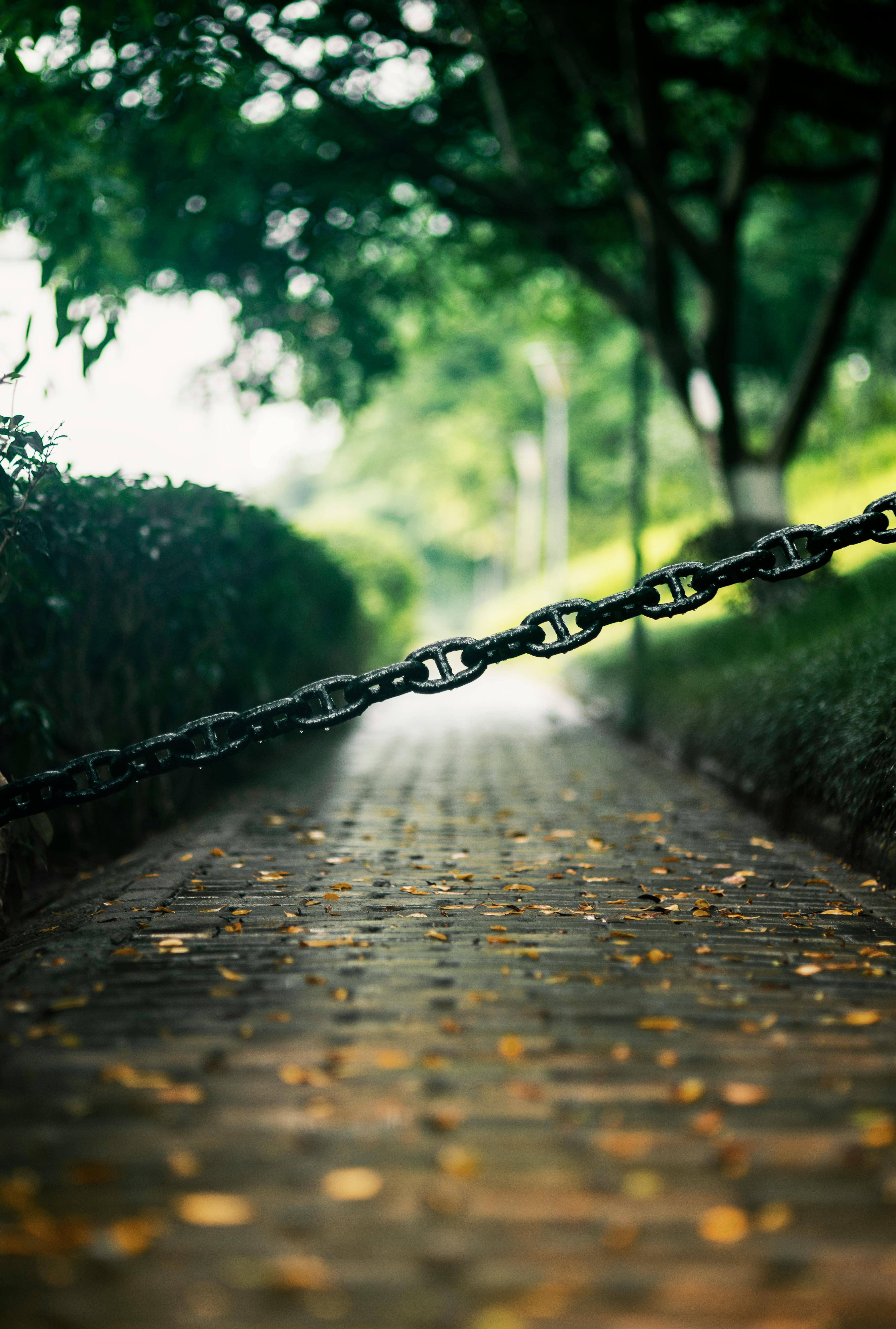 Iron Path Photos, Download The BEST Free Iron Path Stock Photos & HD Images
