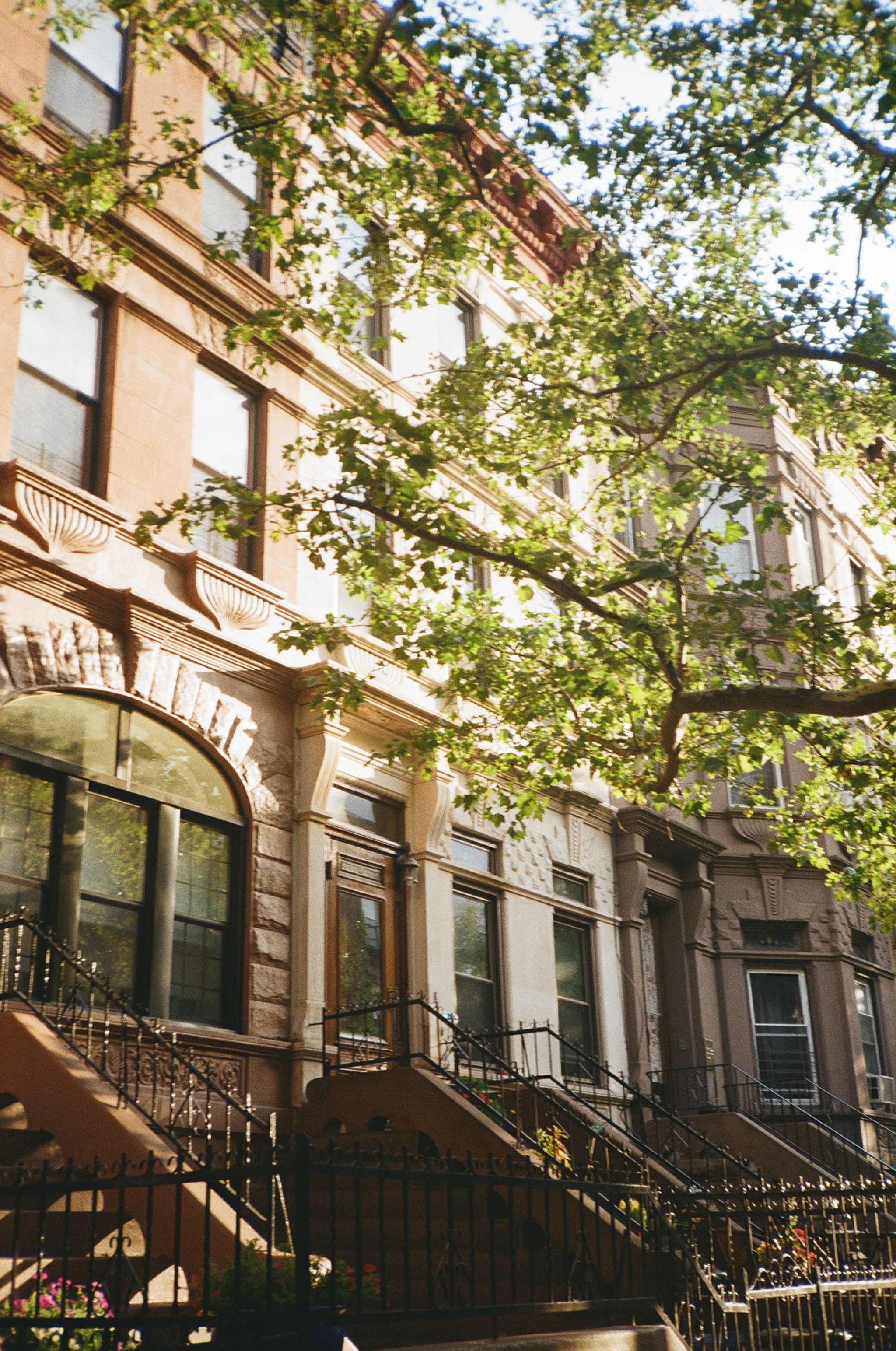 Photo of a Tree Near Buildings · Free Stock Photo