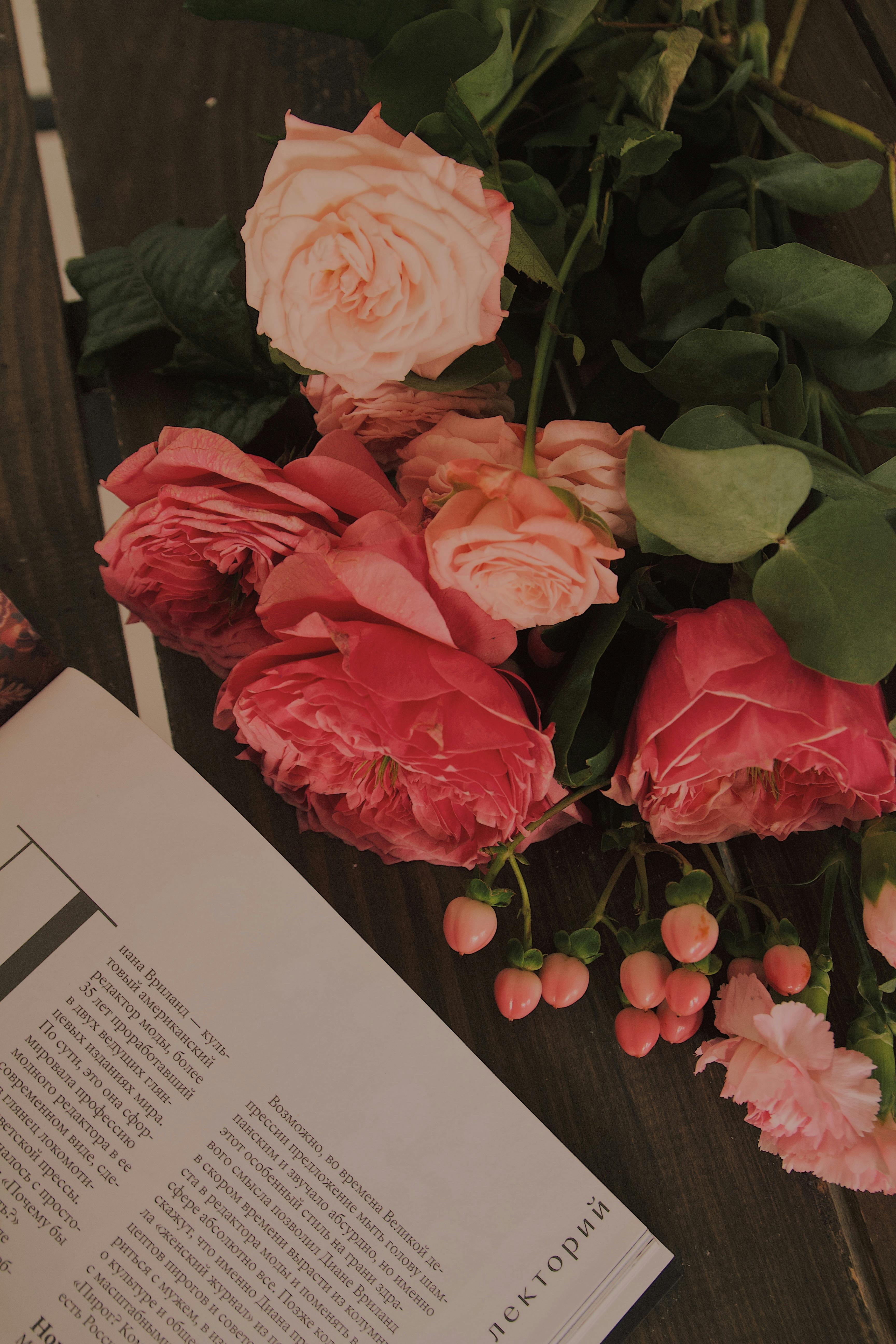 Open Book and Pink Roses · Free Stock Photo