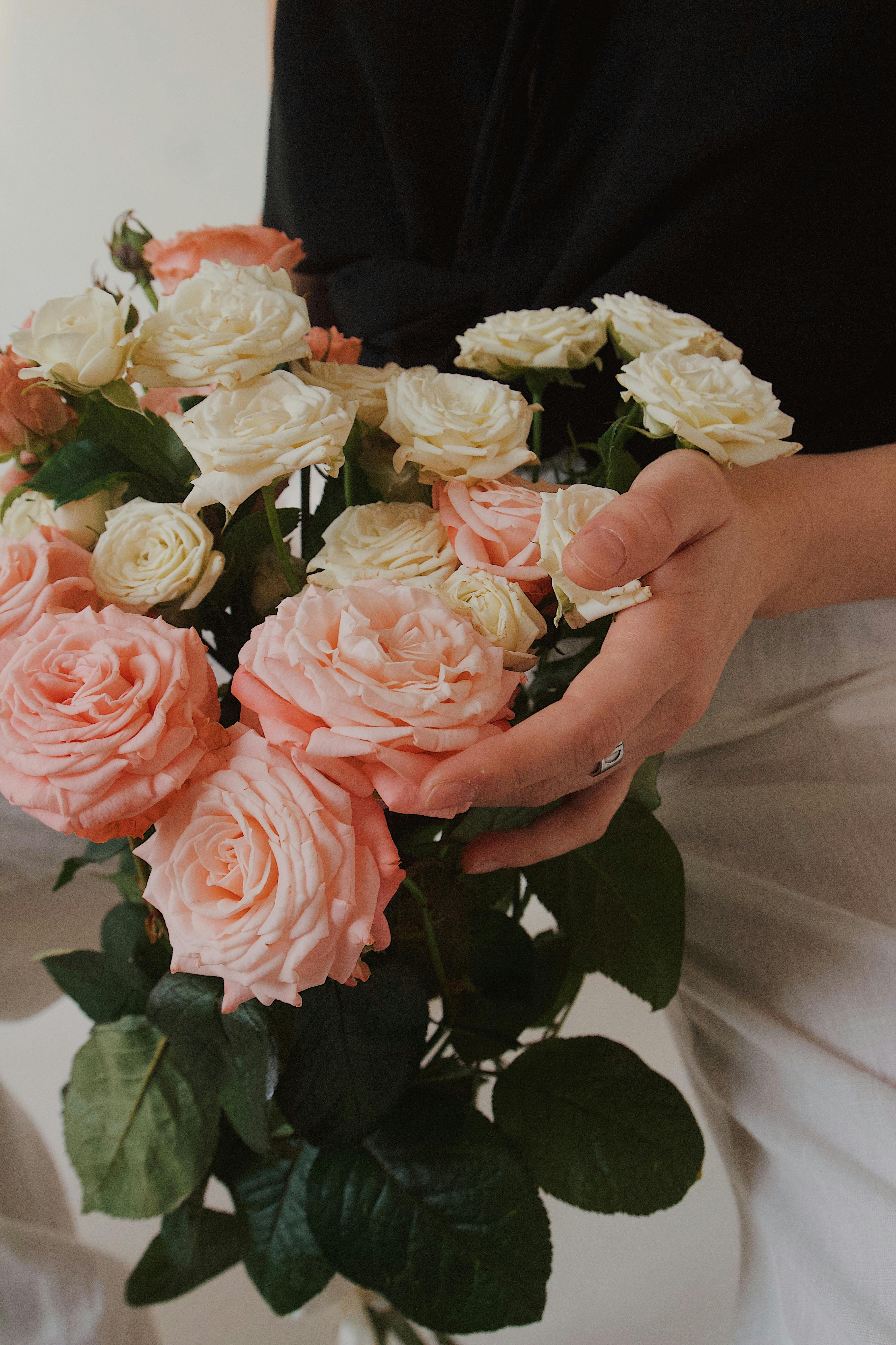 A Bouquet of Garden Roses · Free Stock Photo