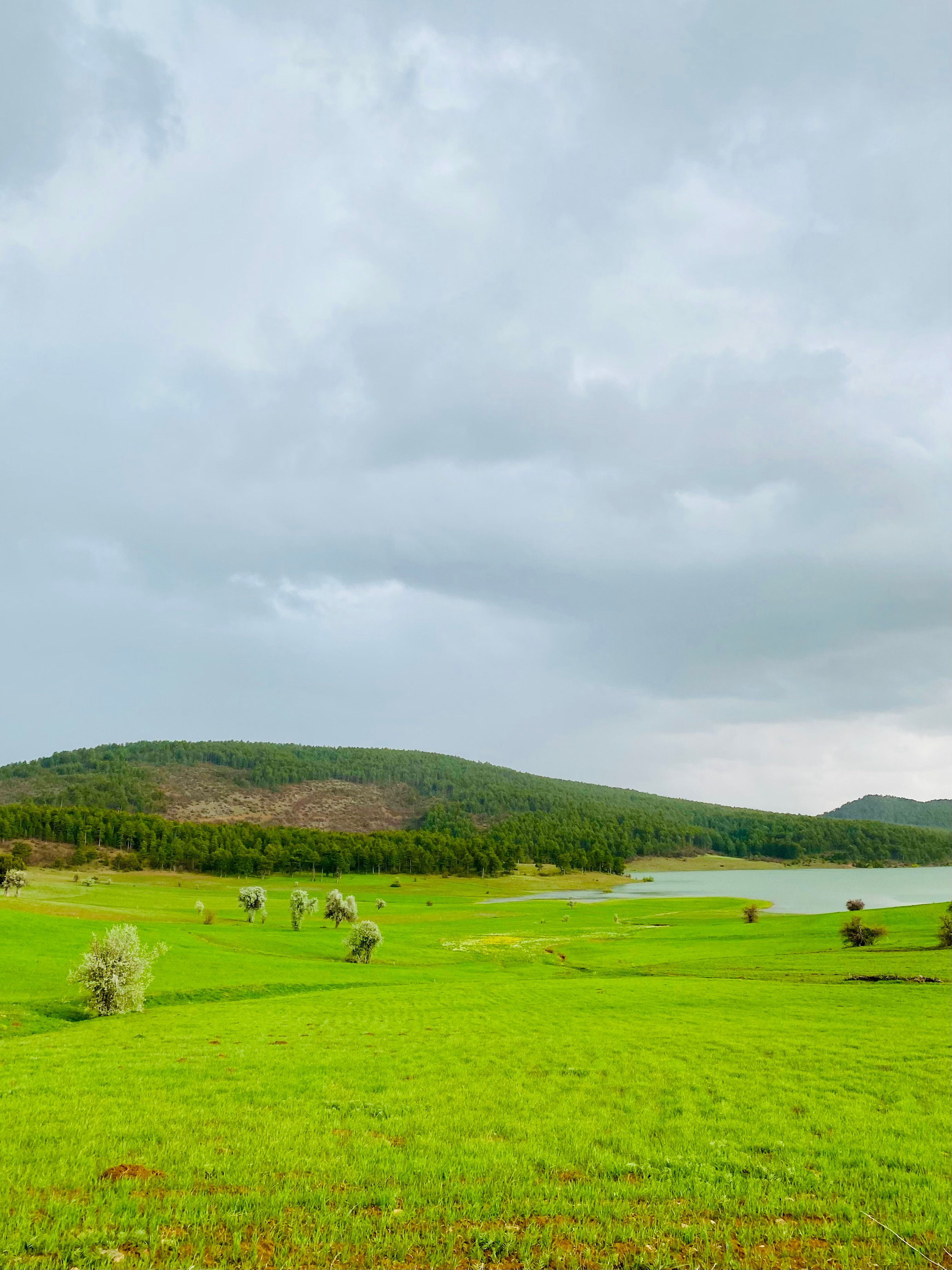 Spring Landscape with Meadow and Lake · Free Stock Photo