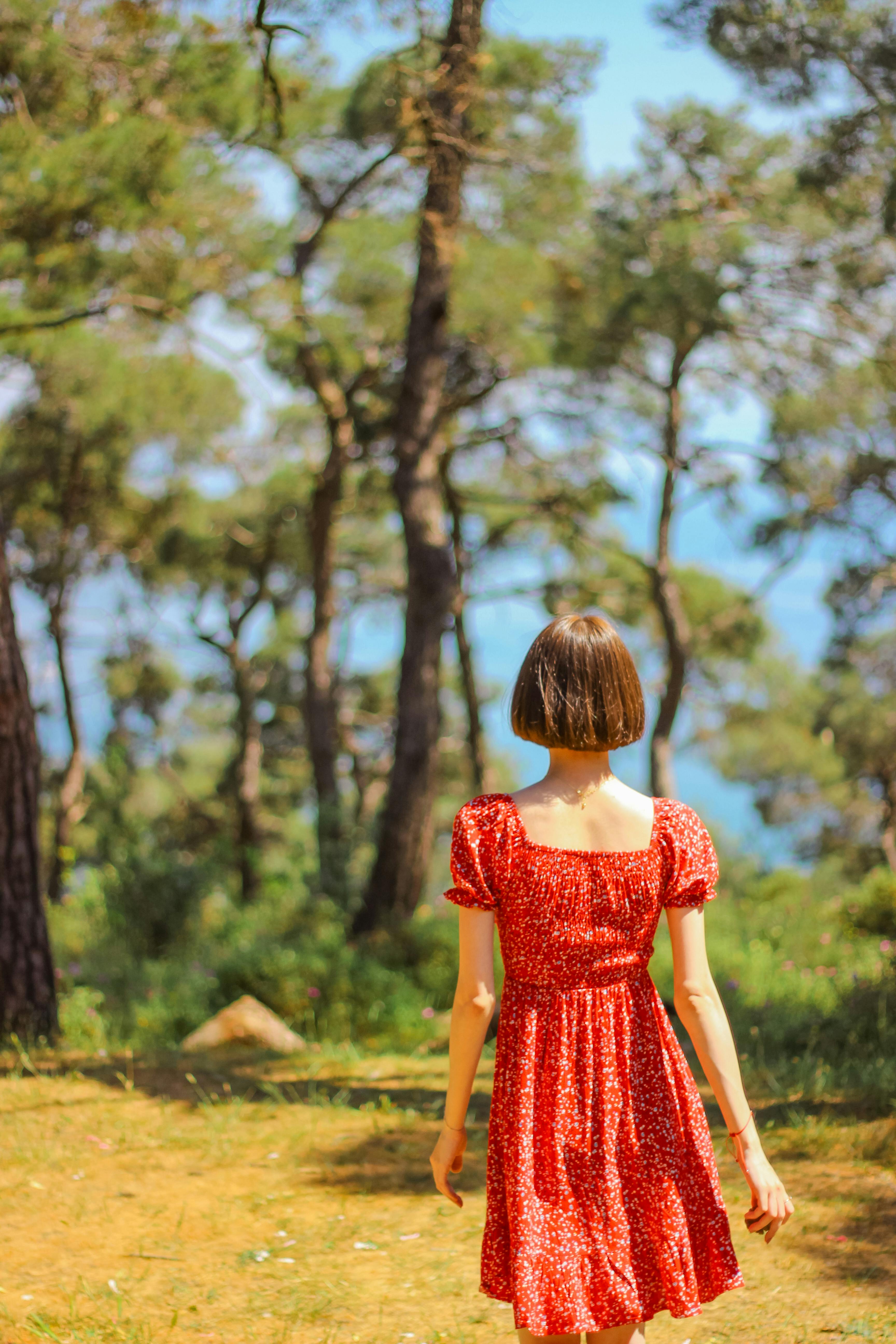 Back View of a Woman in Red Dress near the Trees · Free Stock Photo