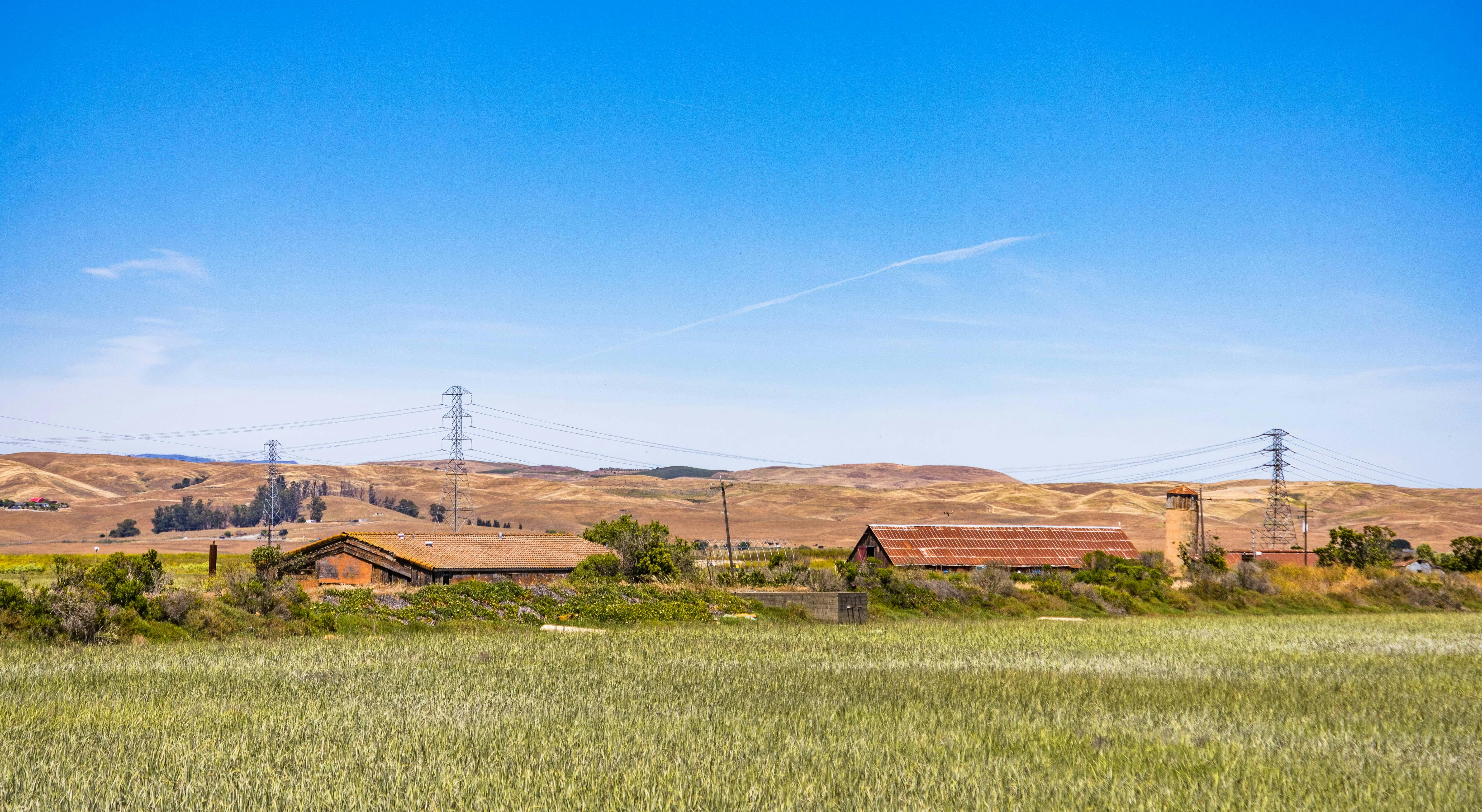 Foto profissional gratuita de agricultura, ao ar livre, área, azul ...