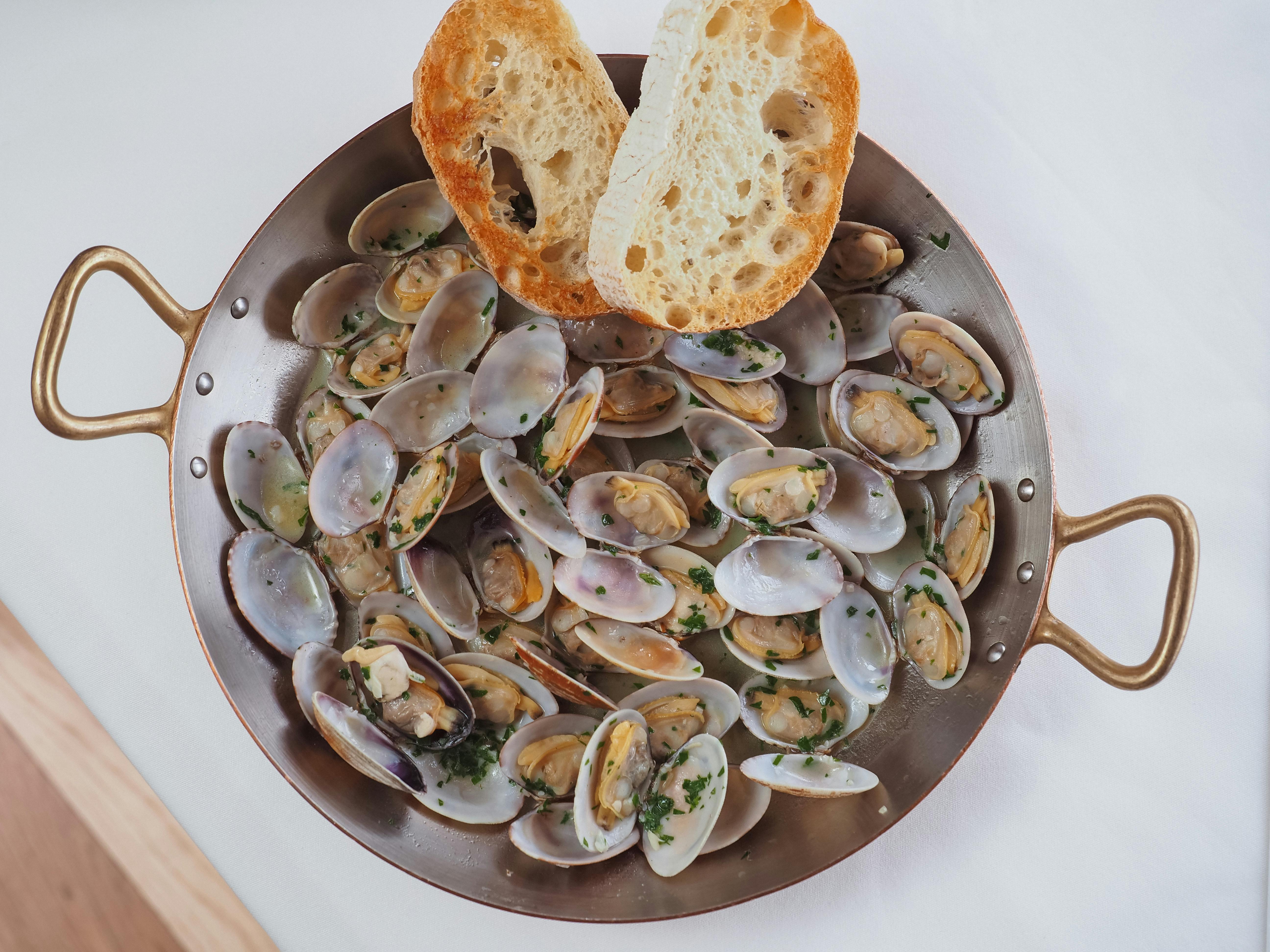 Delicious Cooked Clams · Free Stock Photo