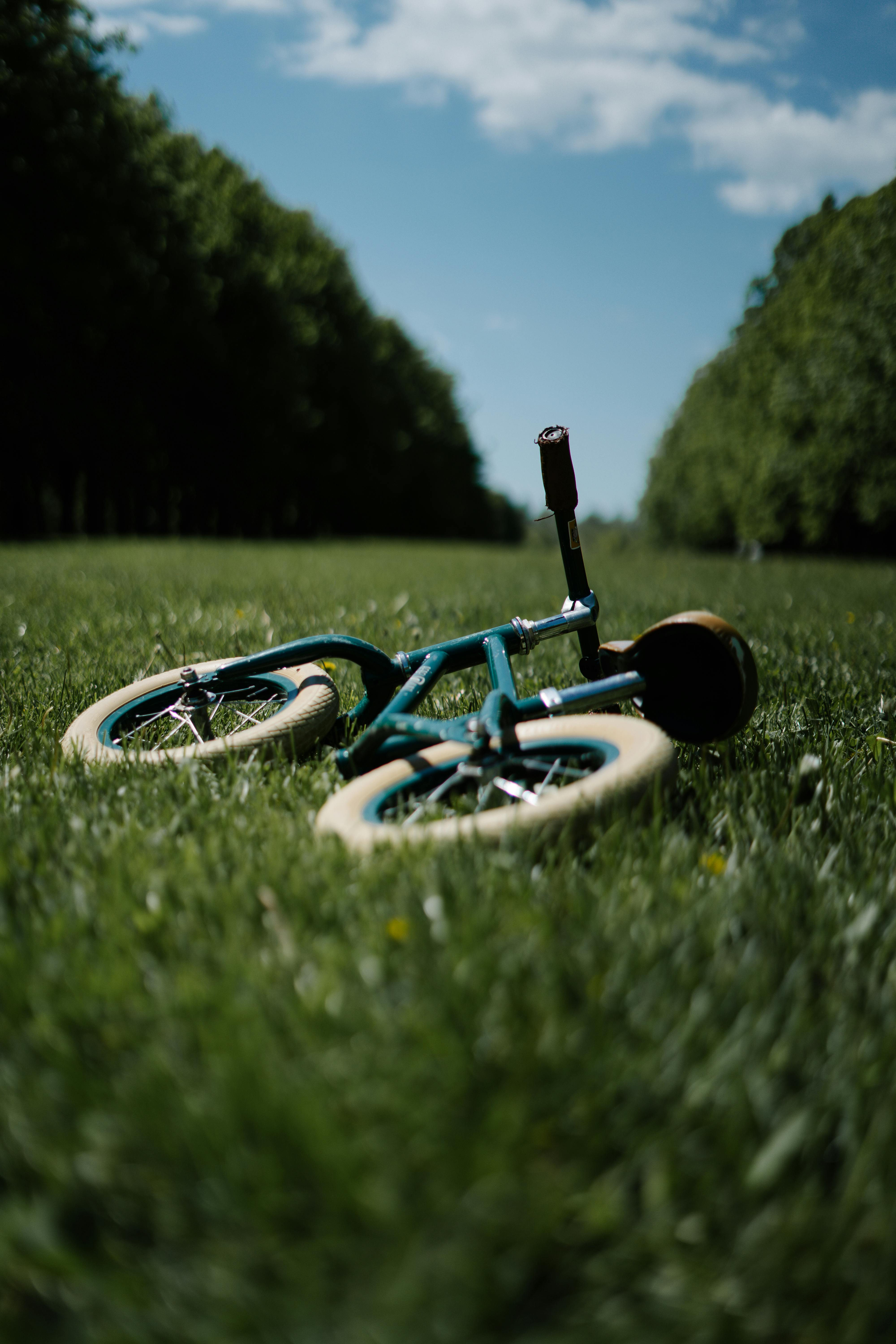 Bike Lying on Grass in Field · Free Stock Photo