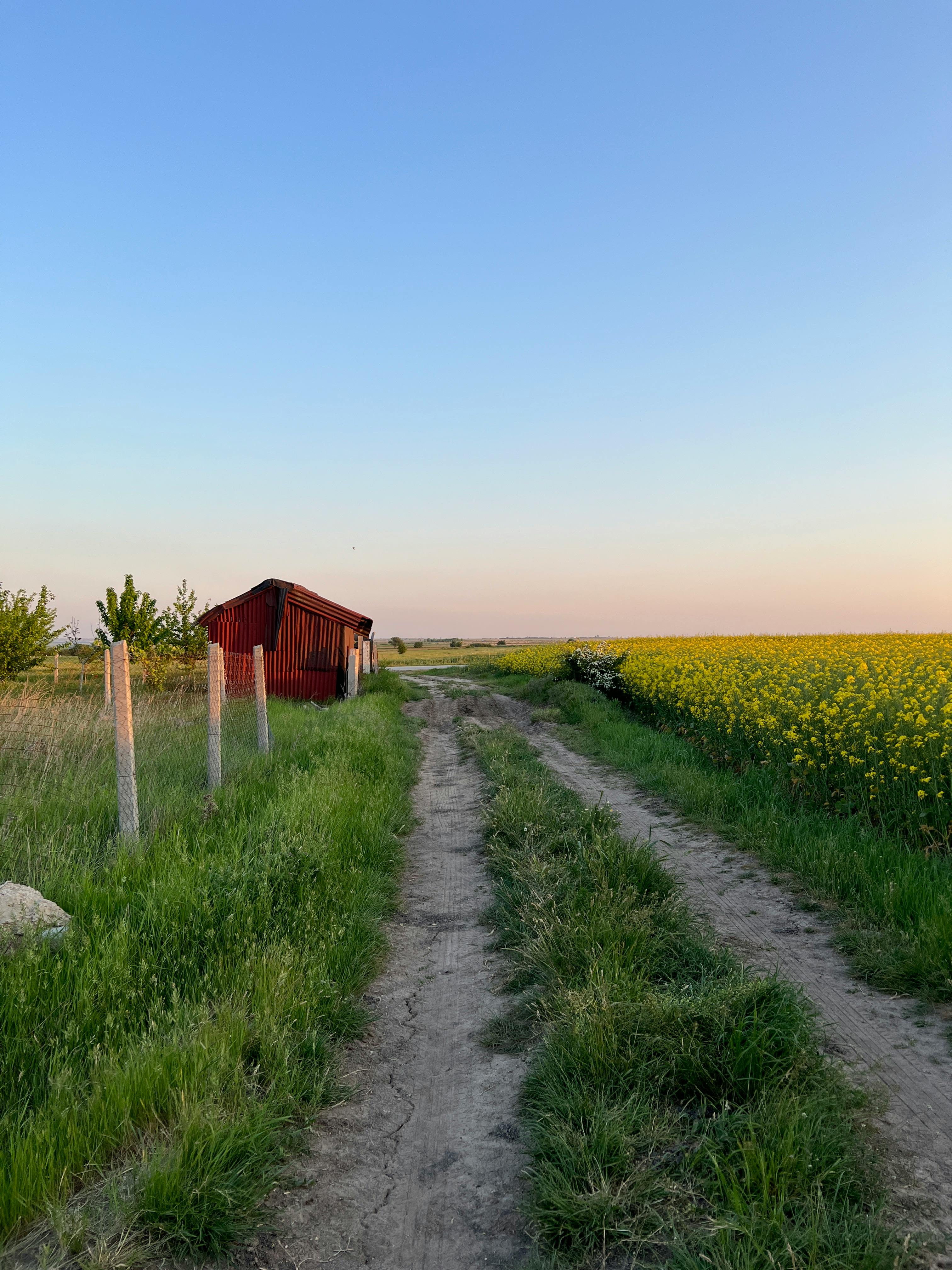 Unpaved Road in the Farm · Free Stock Photo