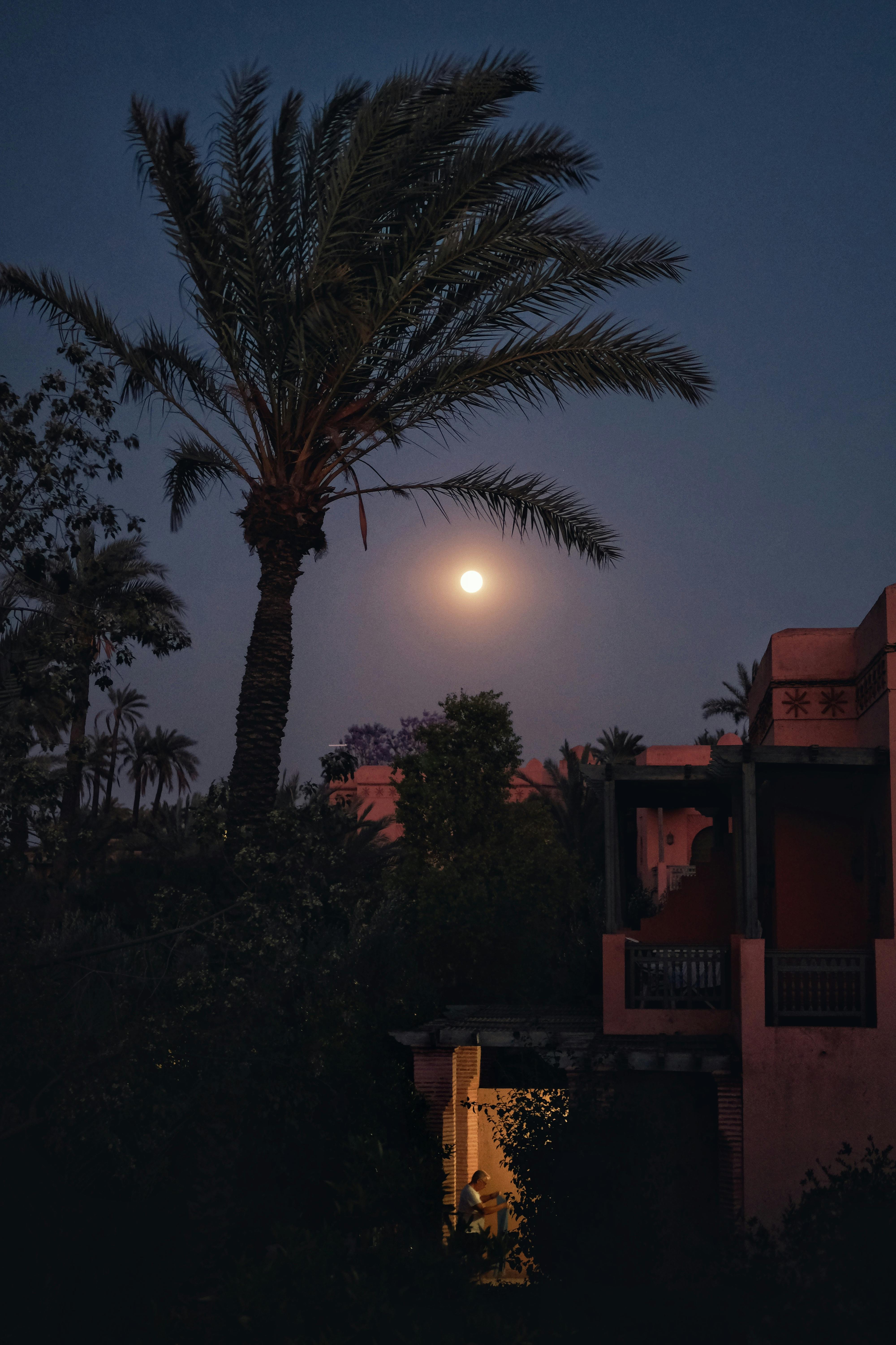 Moon over Town · Free Stock Photo