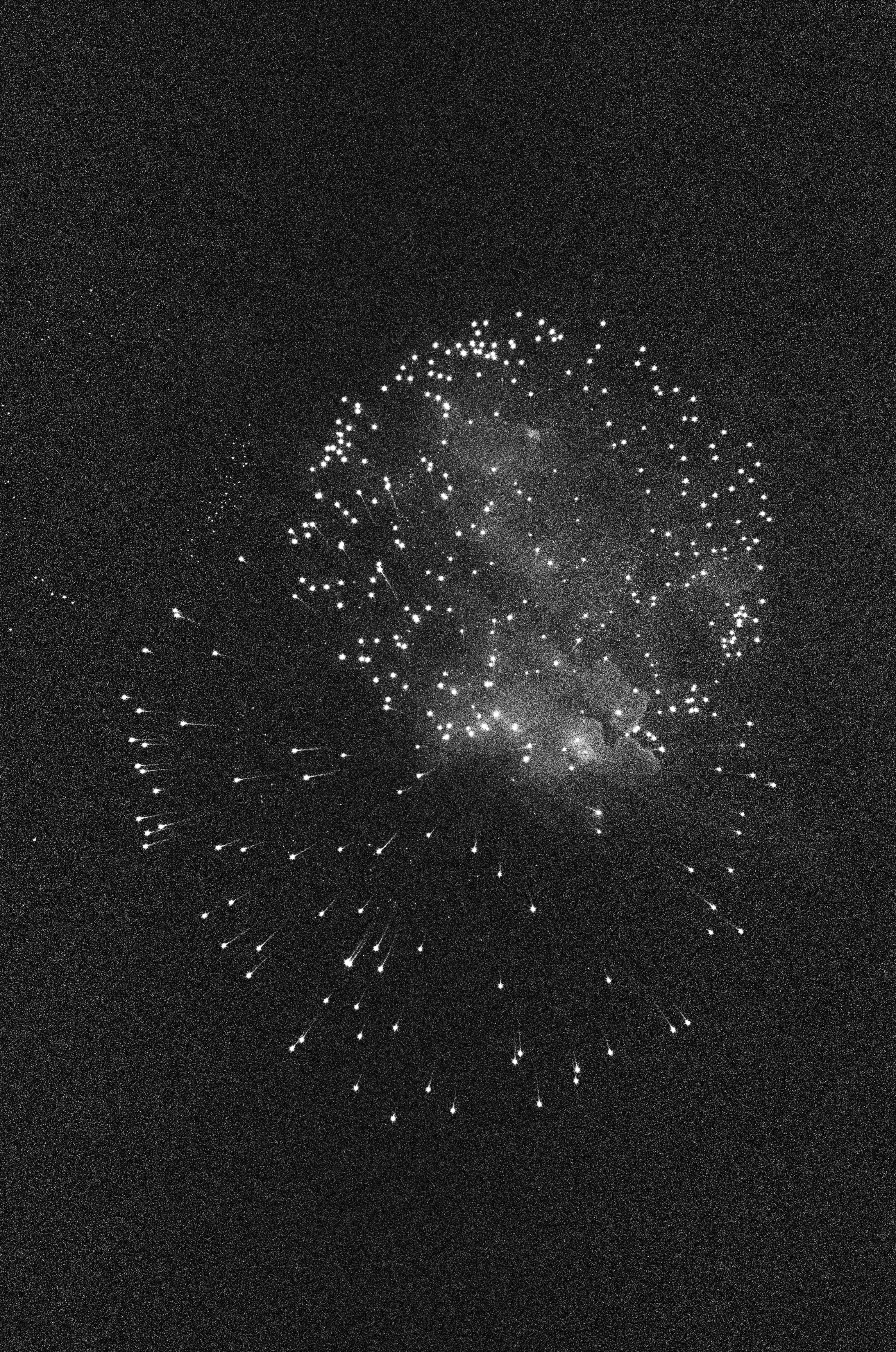 Grayscale Photo of a Fireworks in the Dark Sky · Free Stock Photo