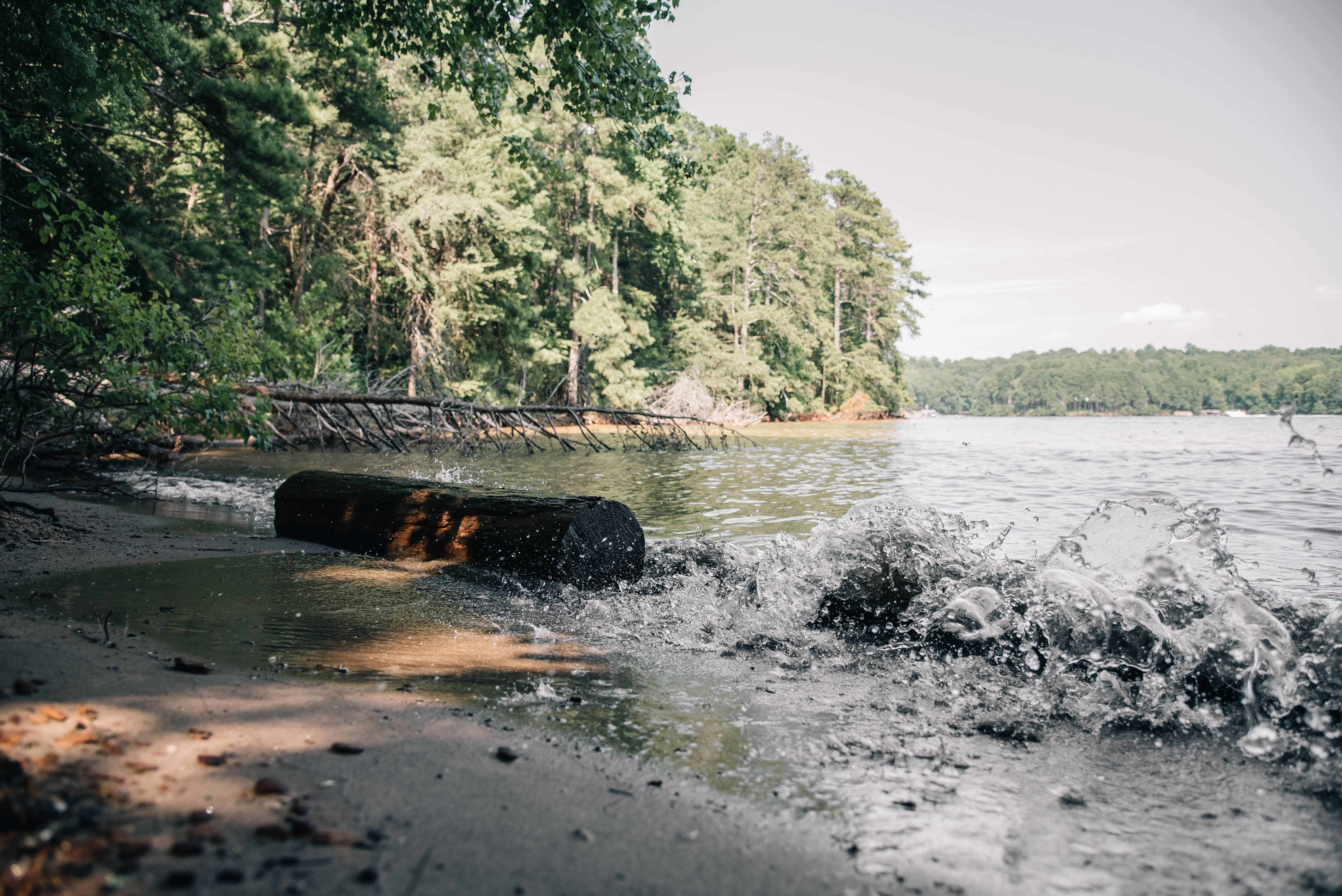 Splashing Water on Lakeshore · Free Stock Photo