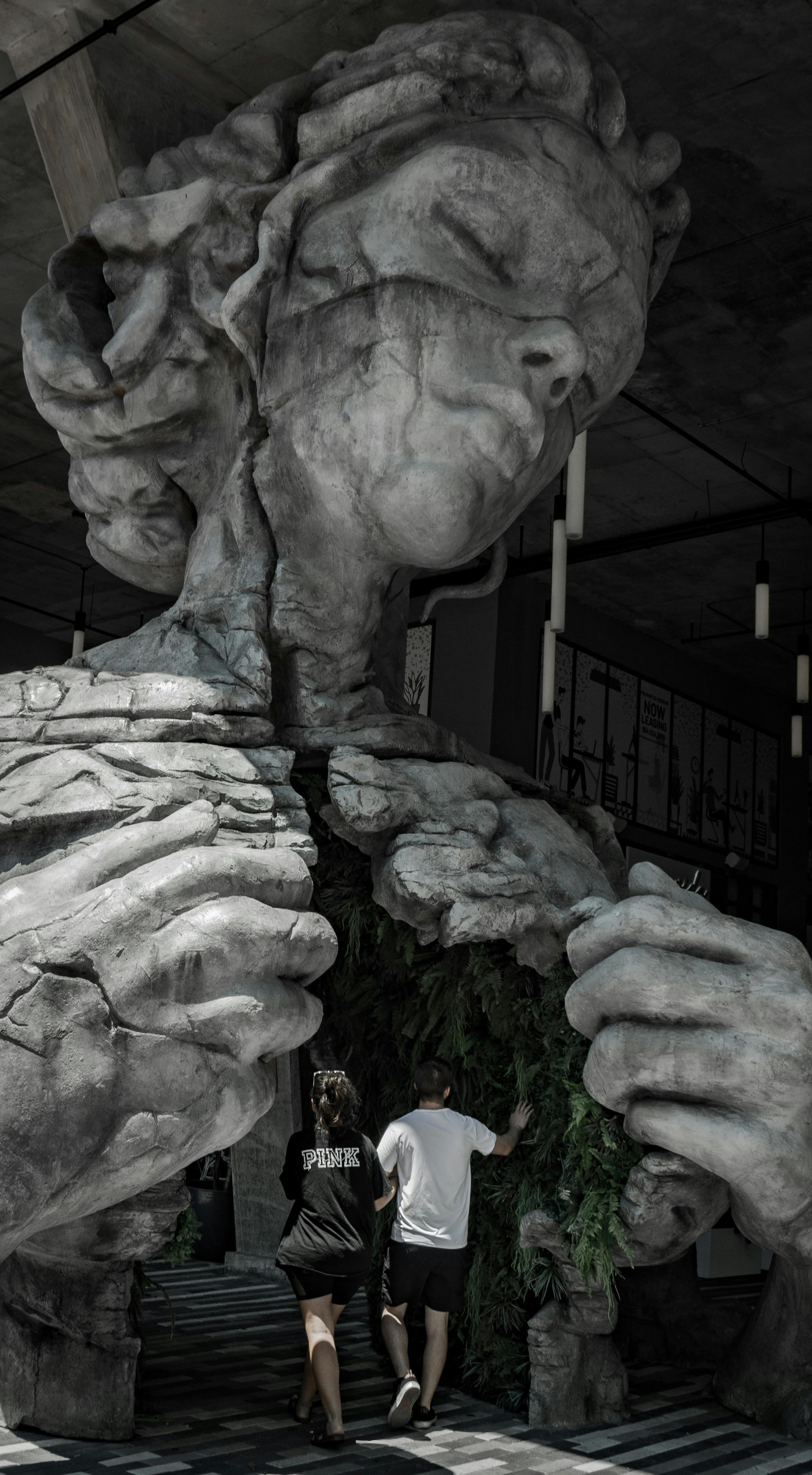 Thriving Photos, Download The BEST Free Thriving Stock Photos & HD Images