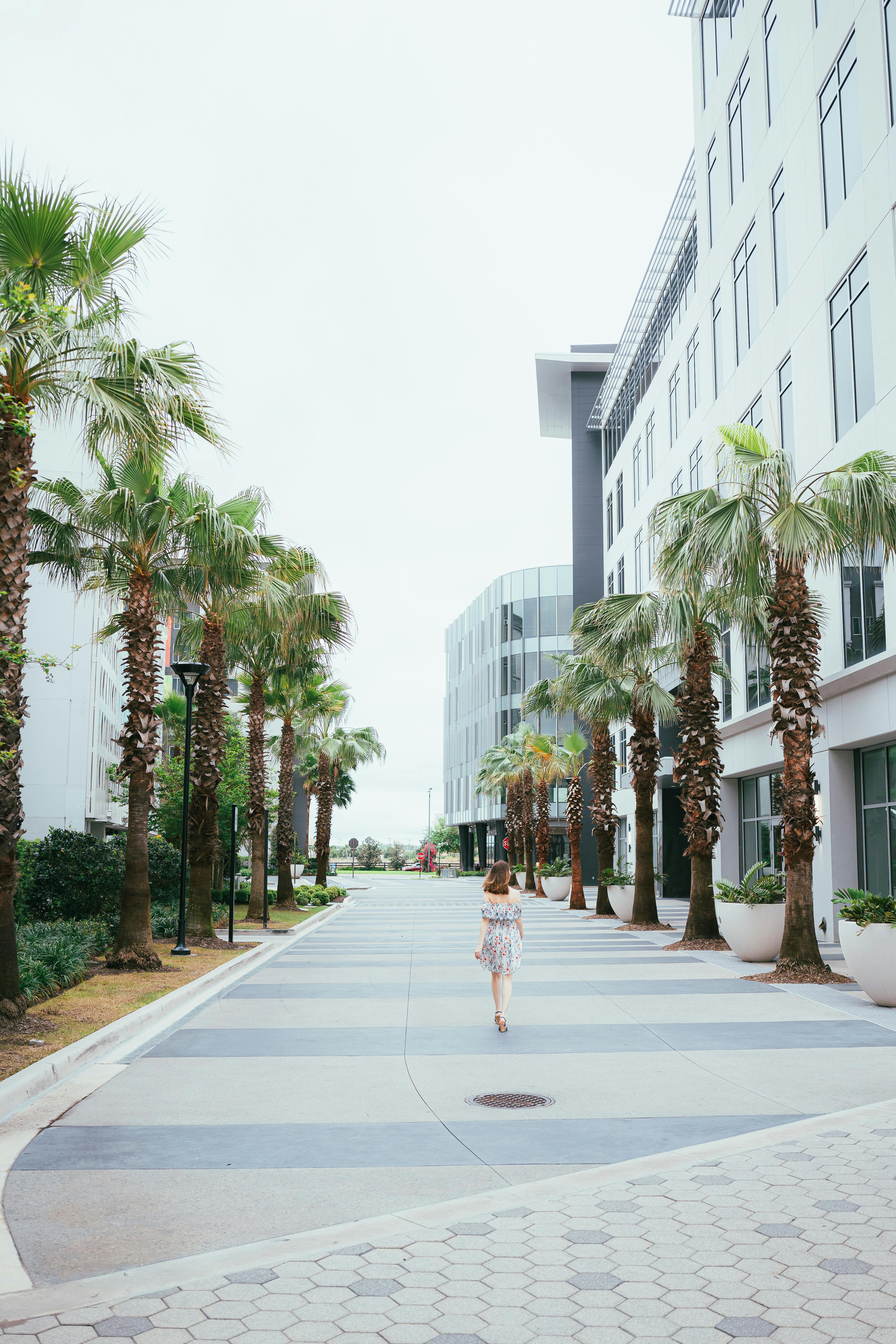 Baywatch Resort Traverse City Mi Photos, Download Free Baywatch Resort ...