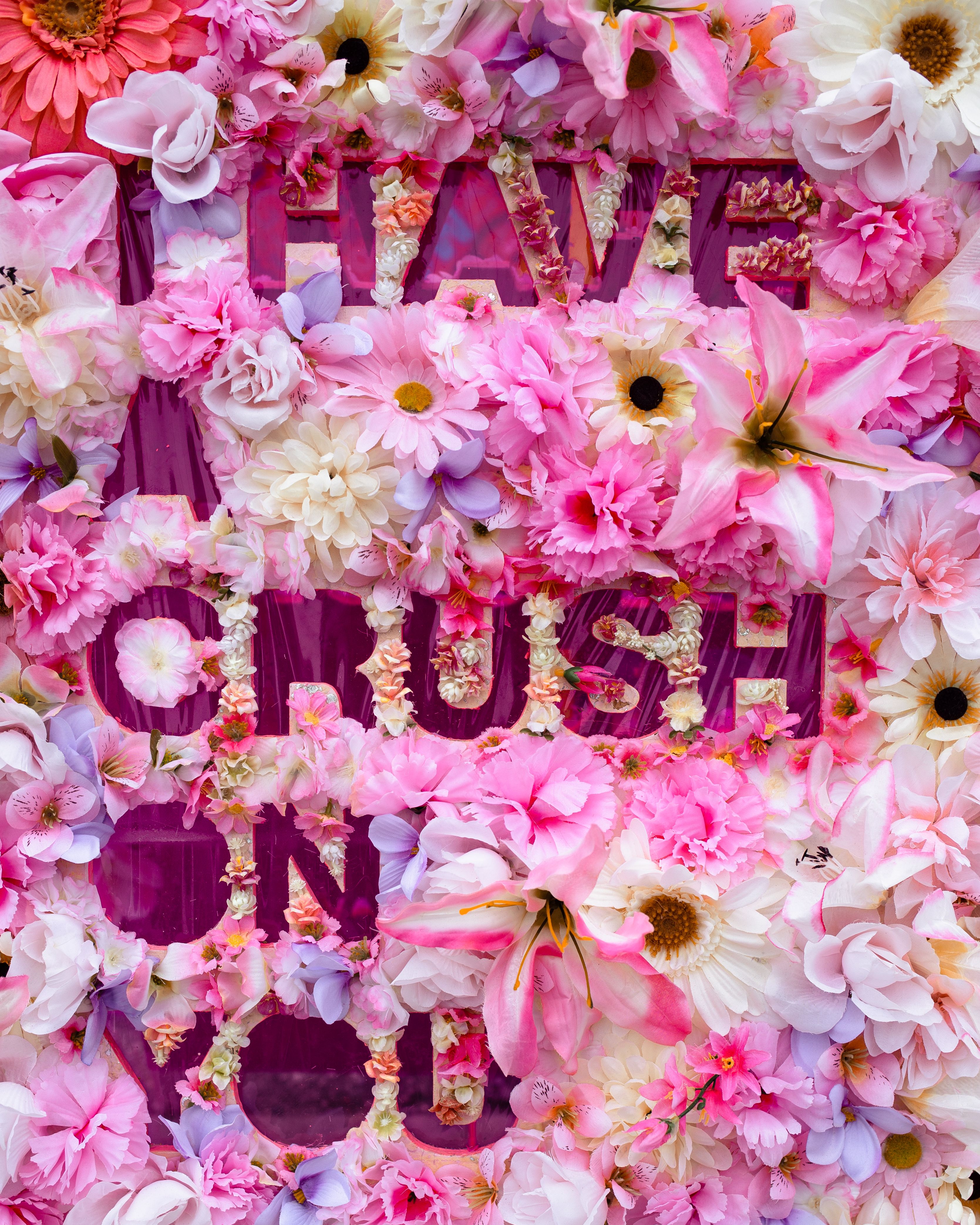 Love Crush Photos, Download The BEST Free Love Crush Stock Photos & HD ...