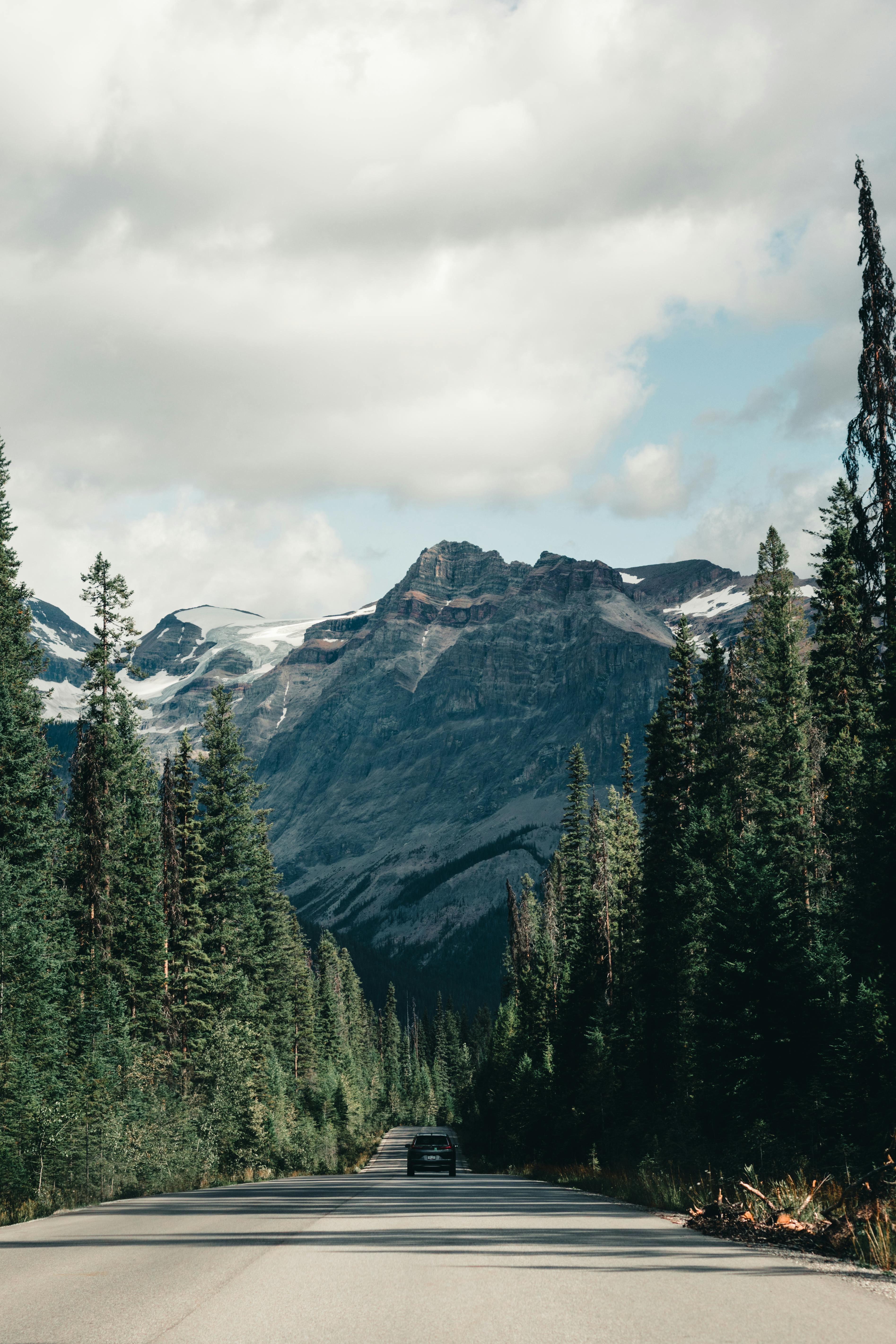 A Car on the Road Between Green Trees Near a Mountain · Free Stock Photo