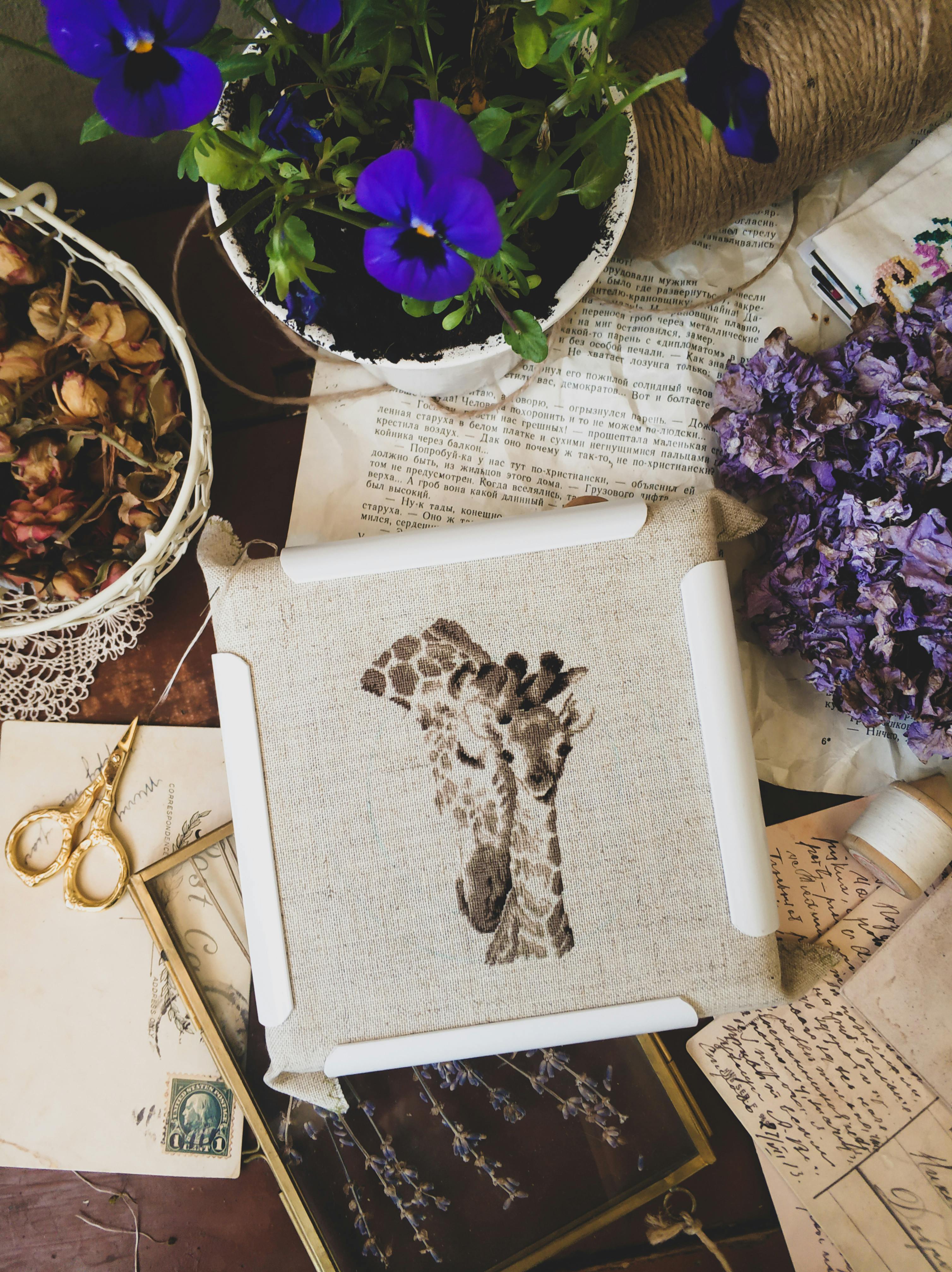 Project Qt Violet Photos, Download The BEST Free Project Qt Violet ...