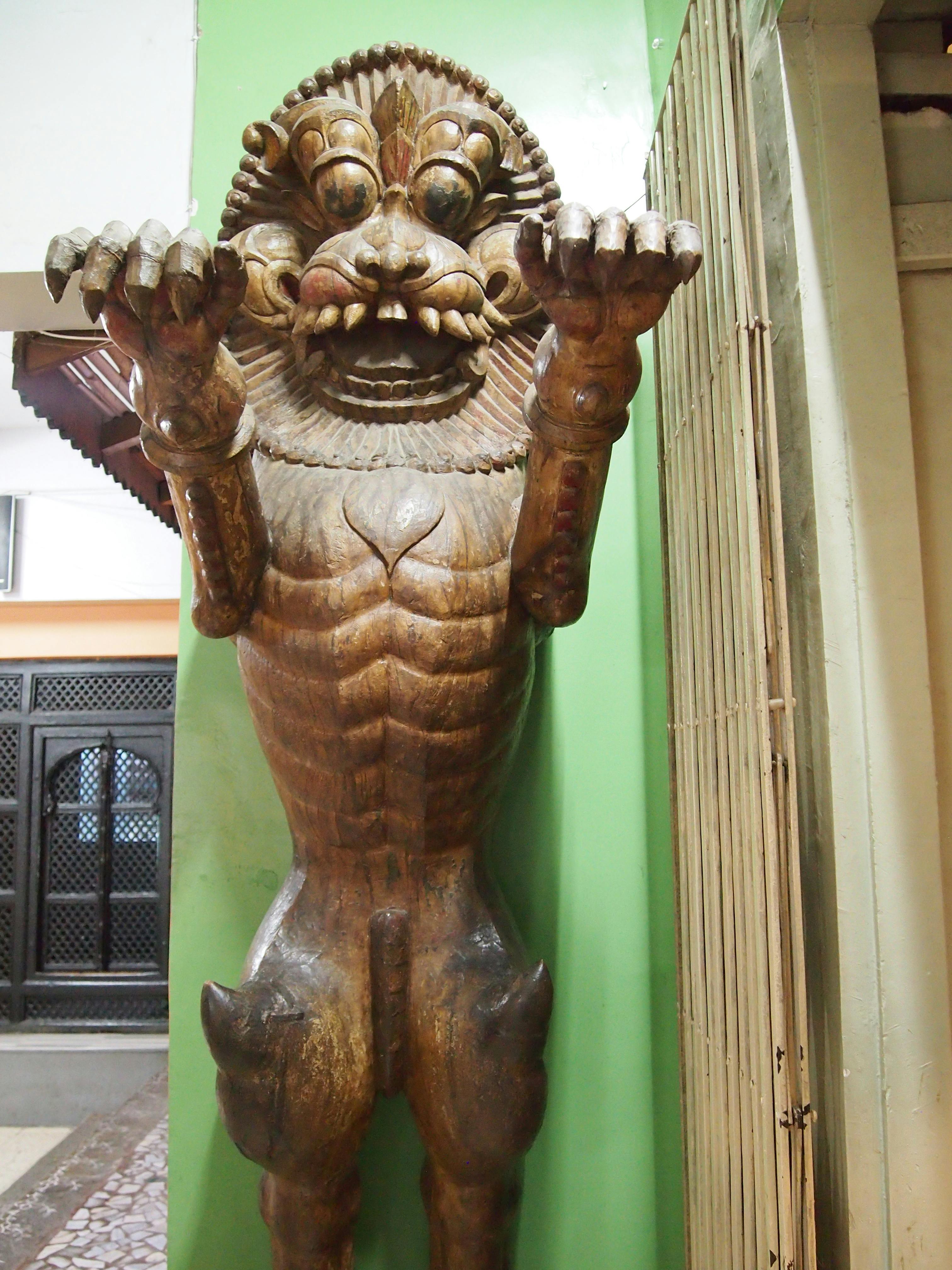 Divakaran T N - Photography