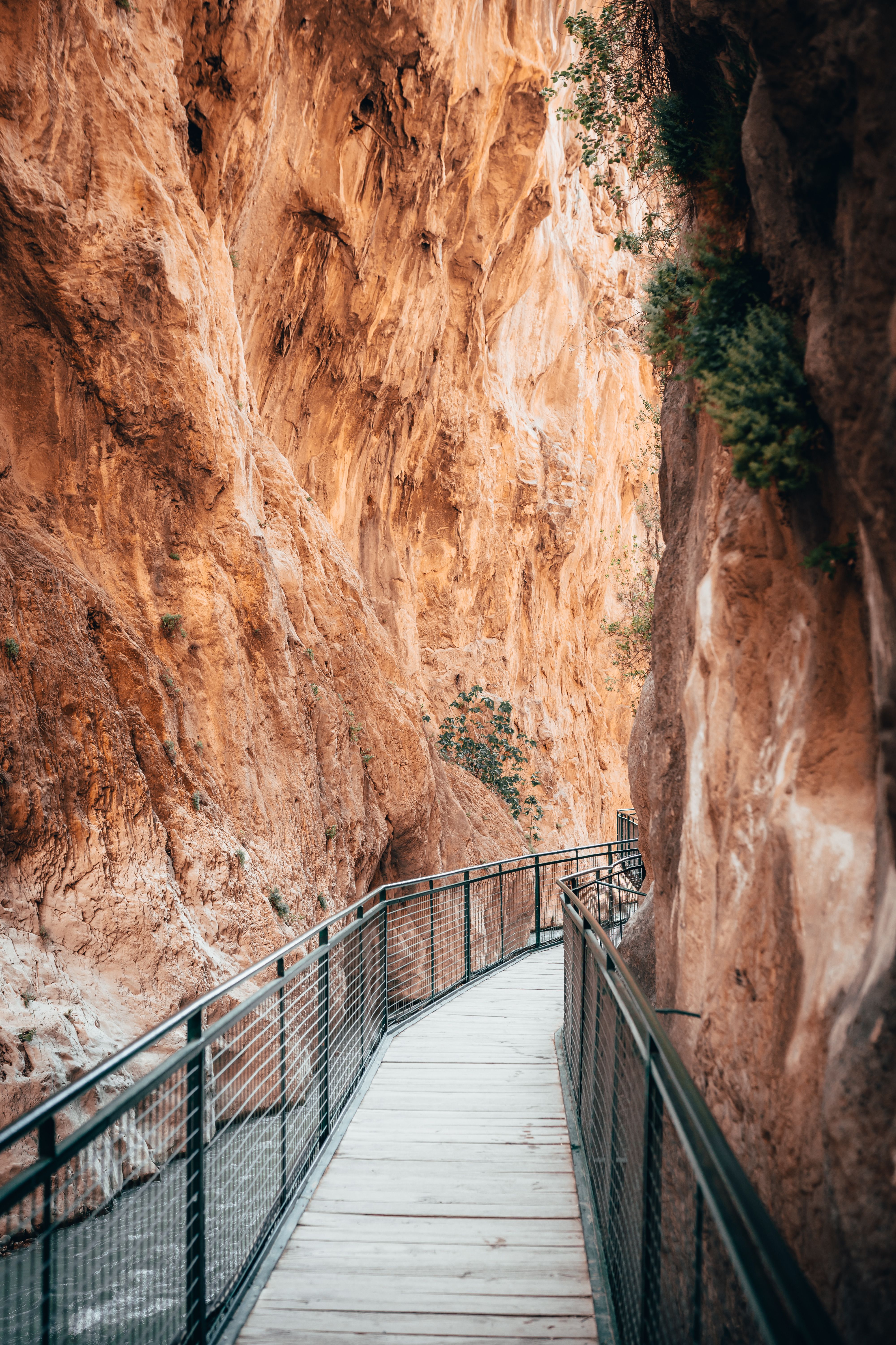 Wooden Footbridge over a River in a Ravine · Free Stock Photo