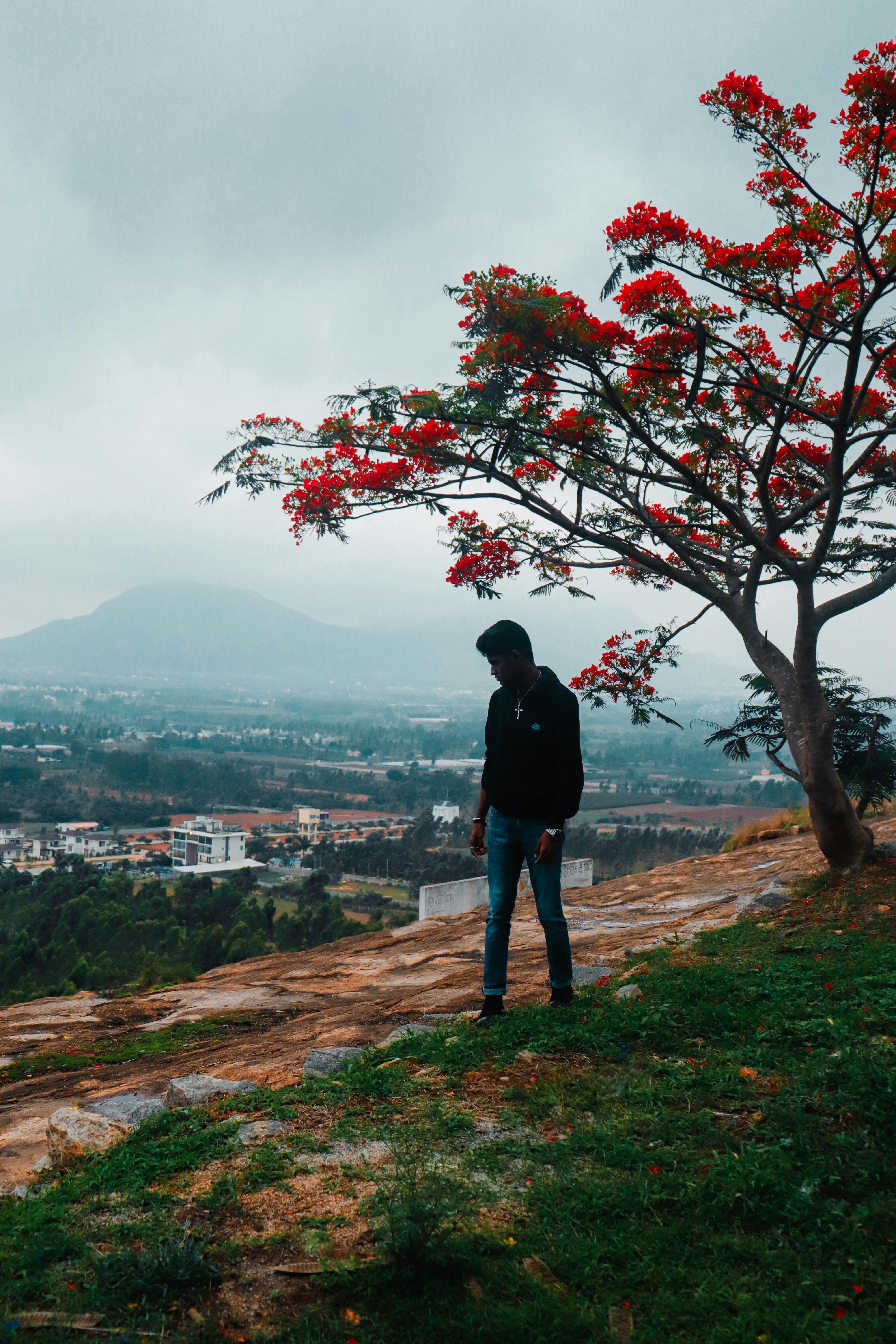 Man Standing Beside the Tree · Free Stock Photo