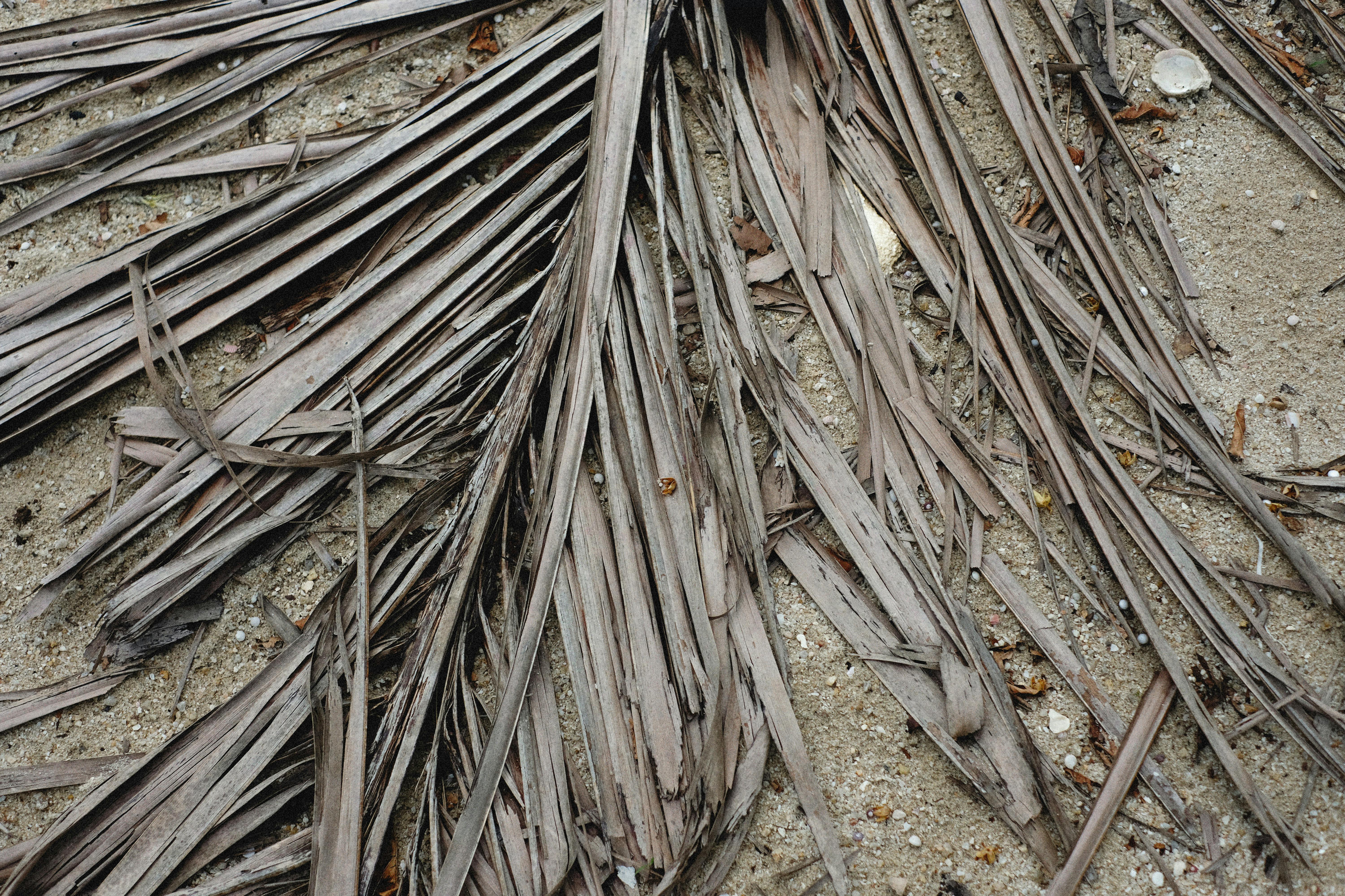 Brown Wood Scrathes on Ground · Free Stock Photo