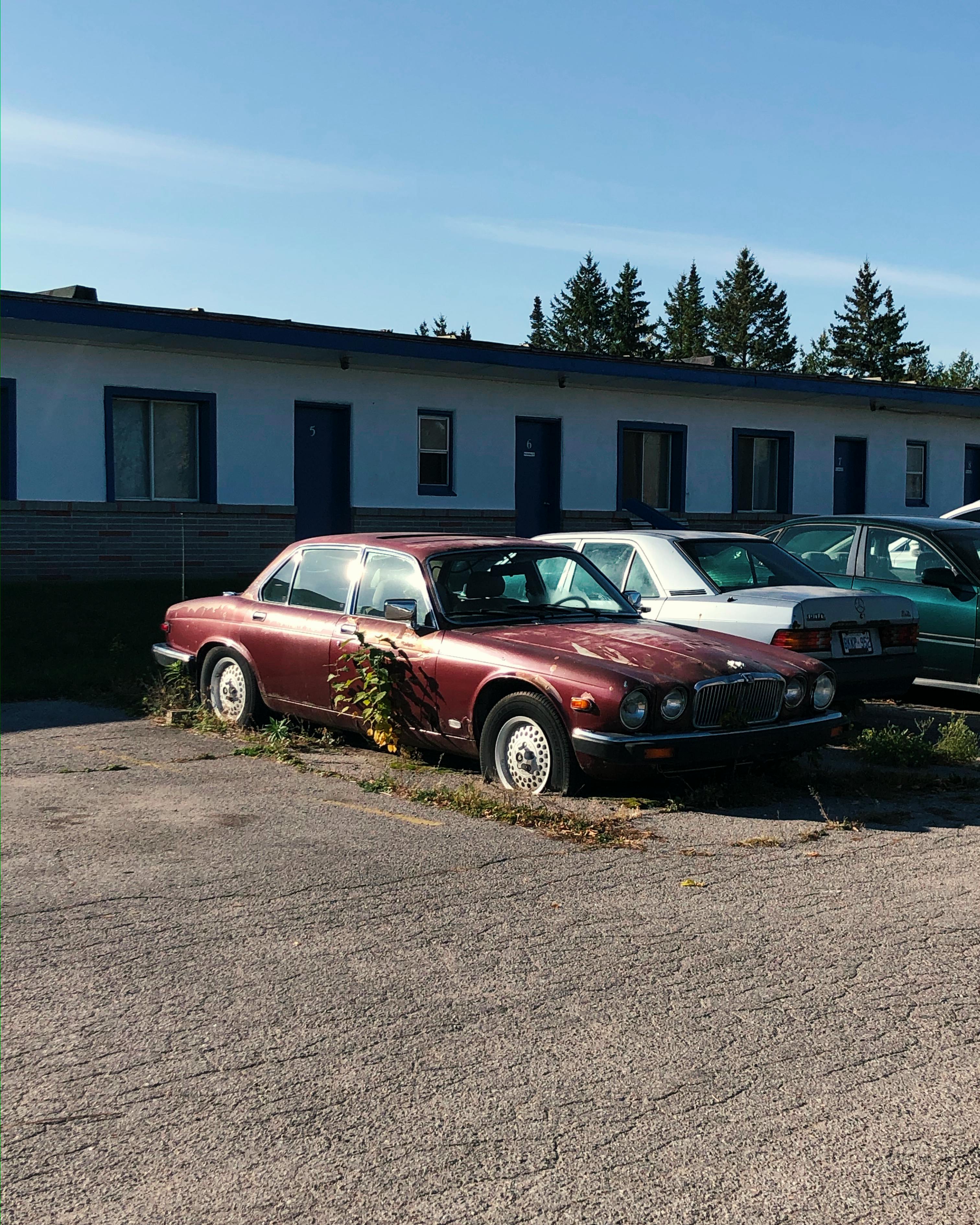 Cars in front of a Building · Free Stock Photo