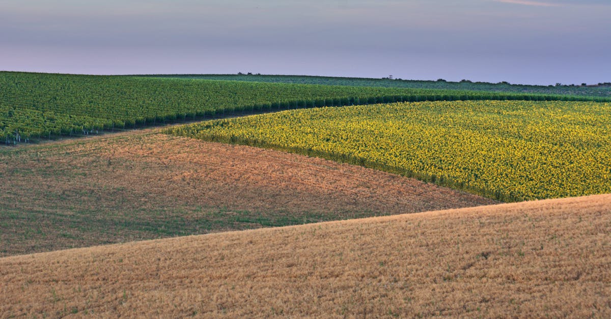 Green Field during Daytime · Free Stock Photo Green Field during Daytime · Free Stock Photo