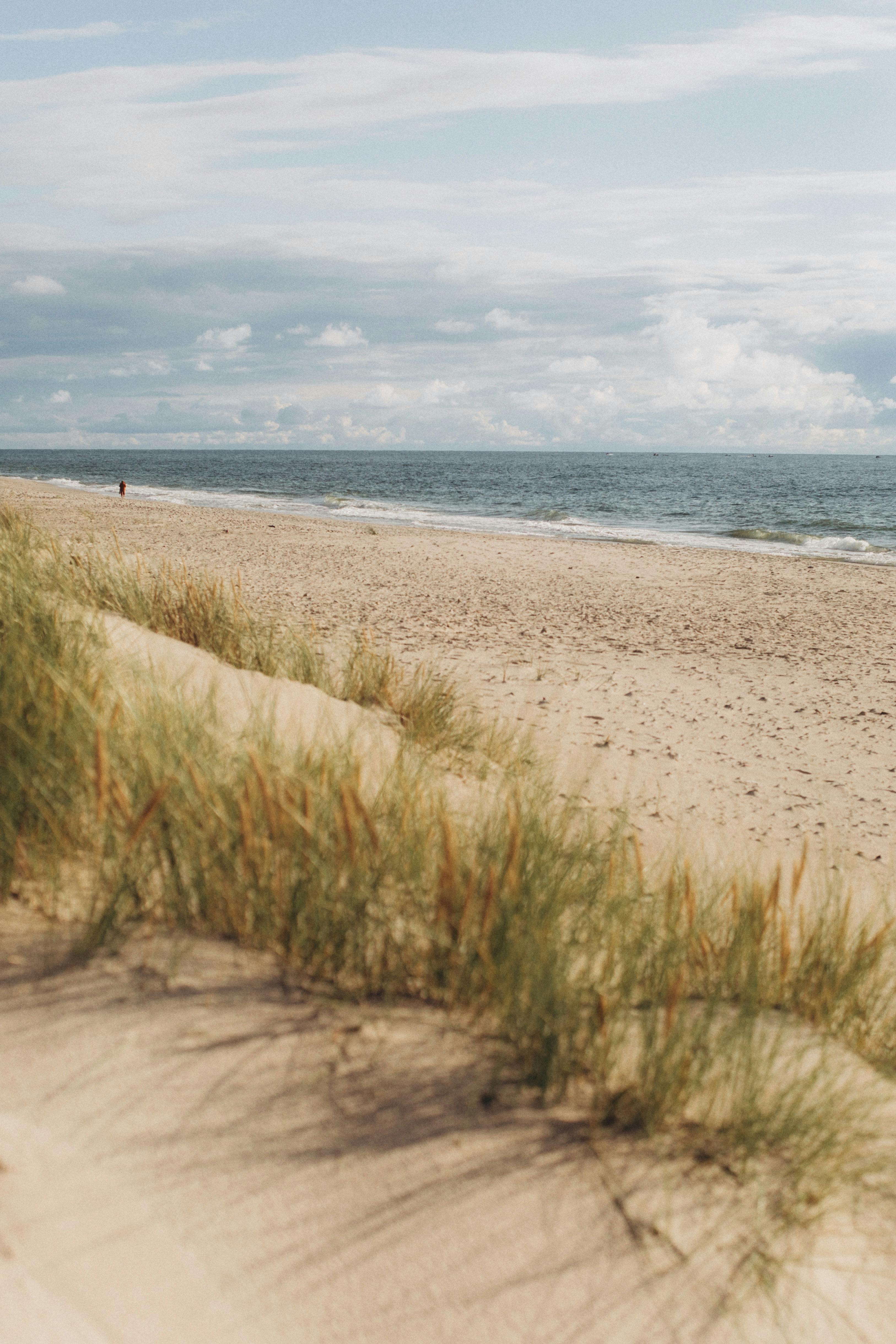 Seaside Vegetation Photos, Download The BEST Free Seaside Vegetation ...