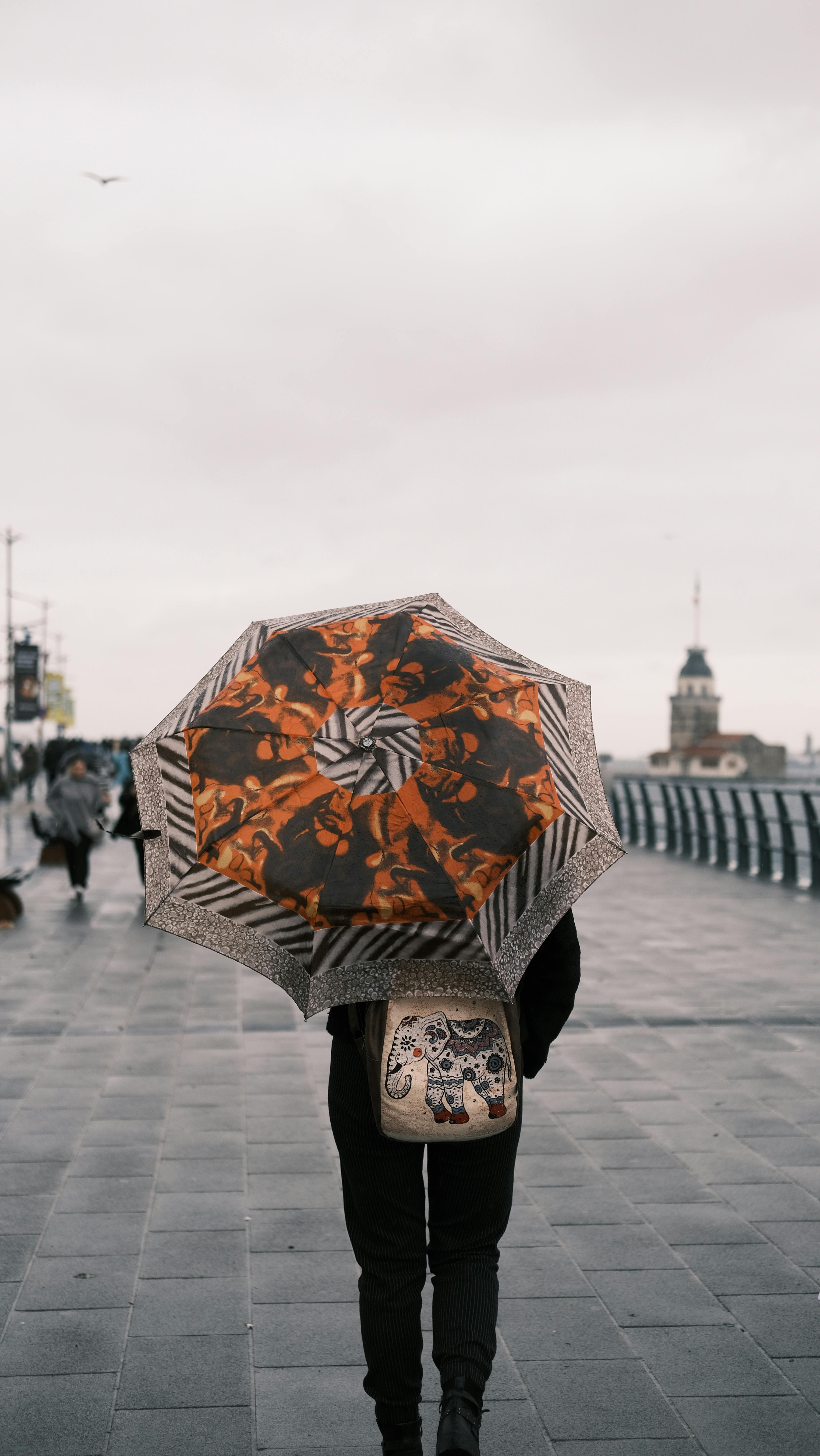 Back View of a Person Holding an Umbrella · Free Stock Photo