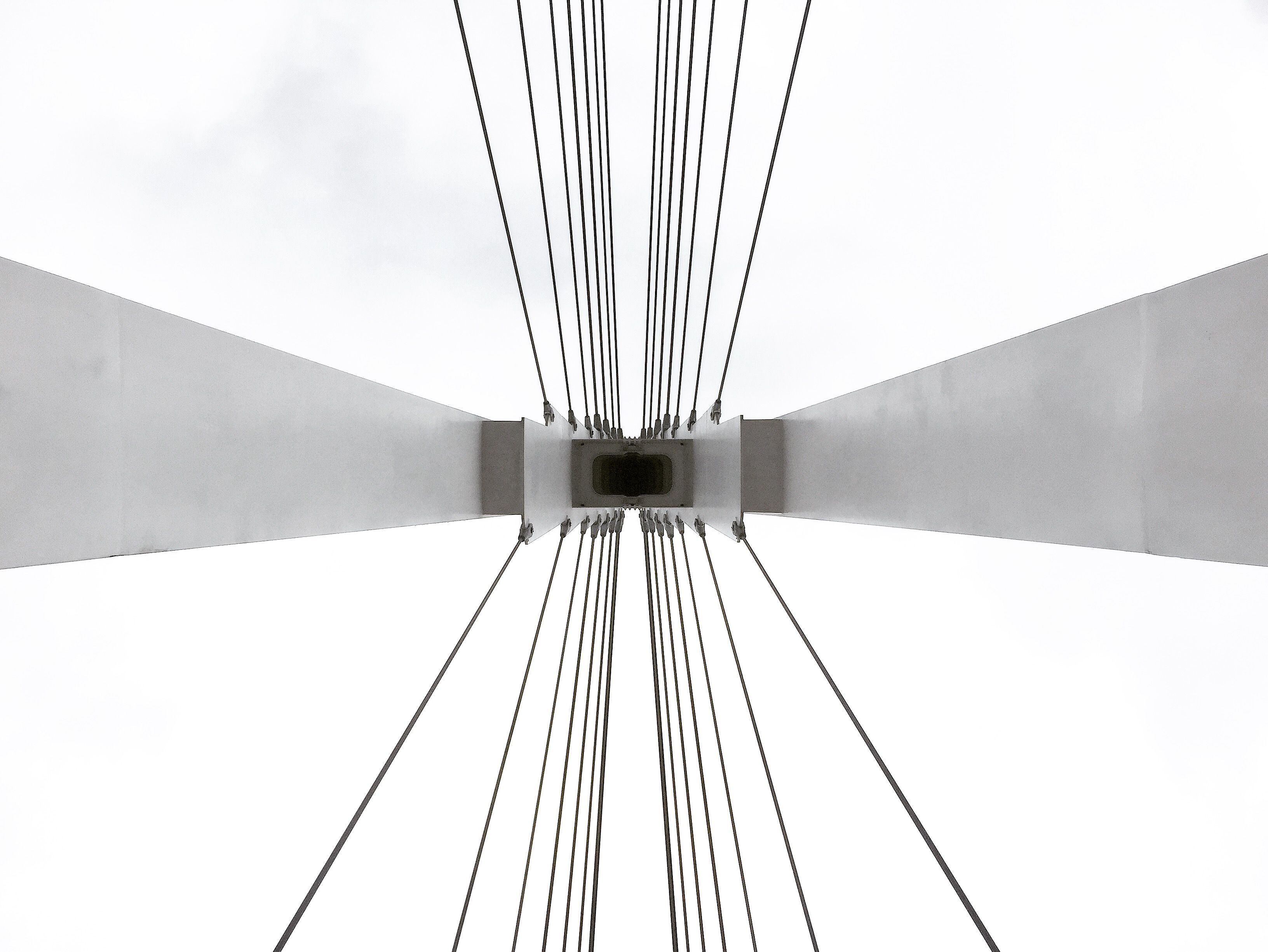 Suspension Cables of Bridge · Free Stock Photo