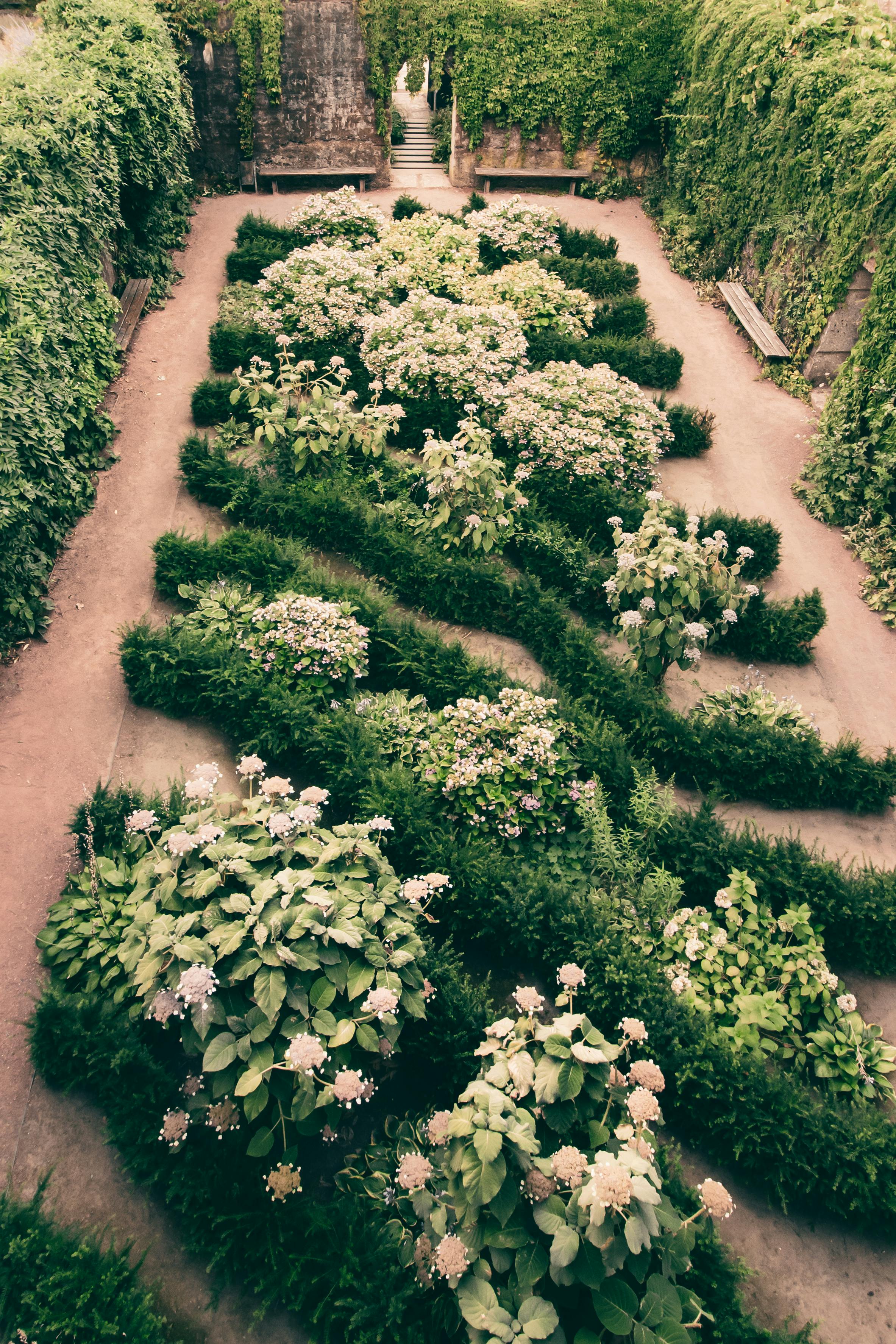 Photo of a Garden · Free Stock Photo